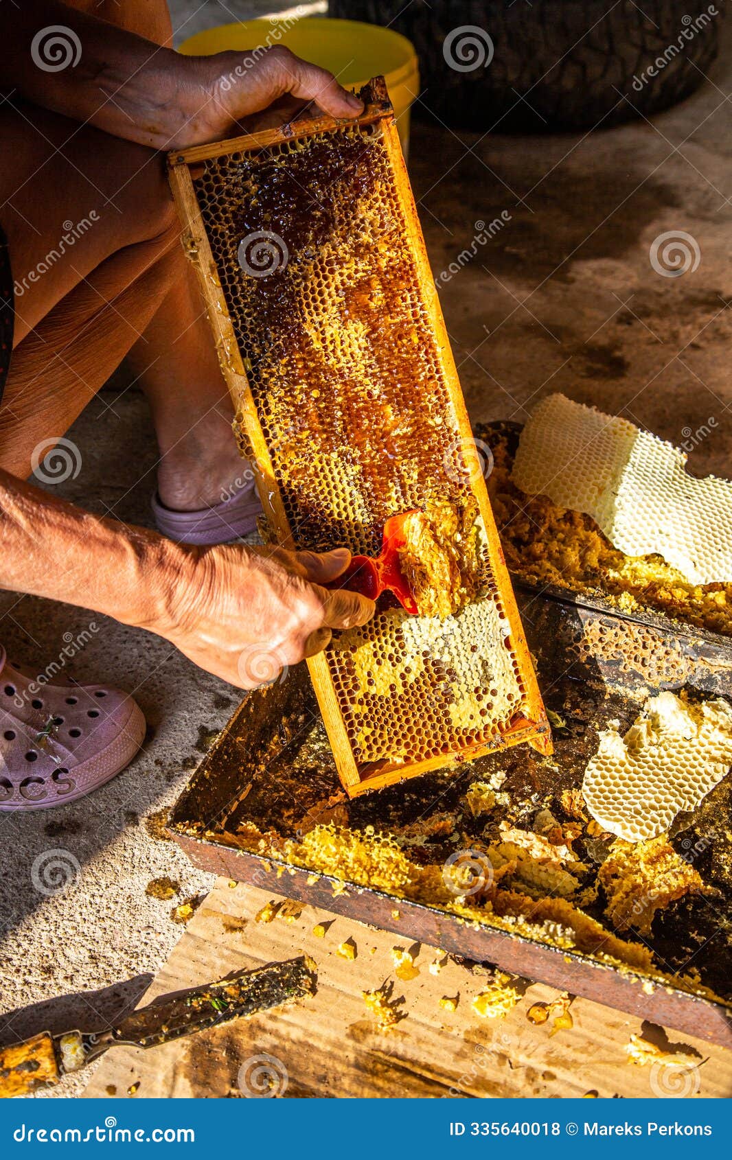 Honey Extraction Process with a Honeycomb Frame in a Rustic Setting ...