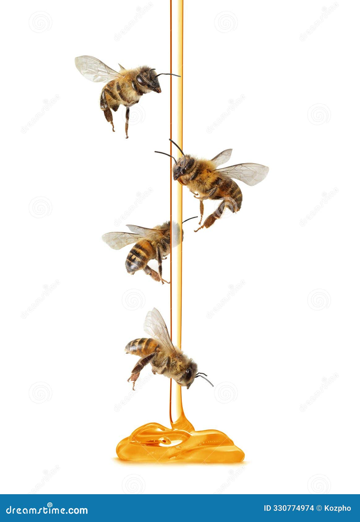 Honey Flow with Flying Bees Close Up Isolated on a White Background ...