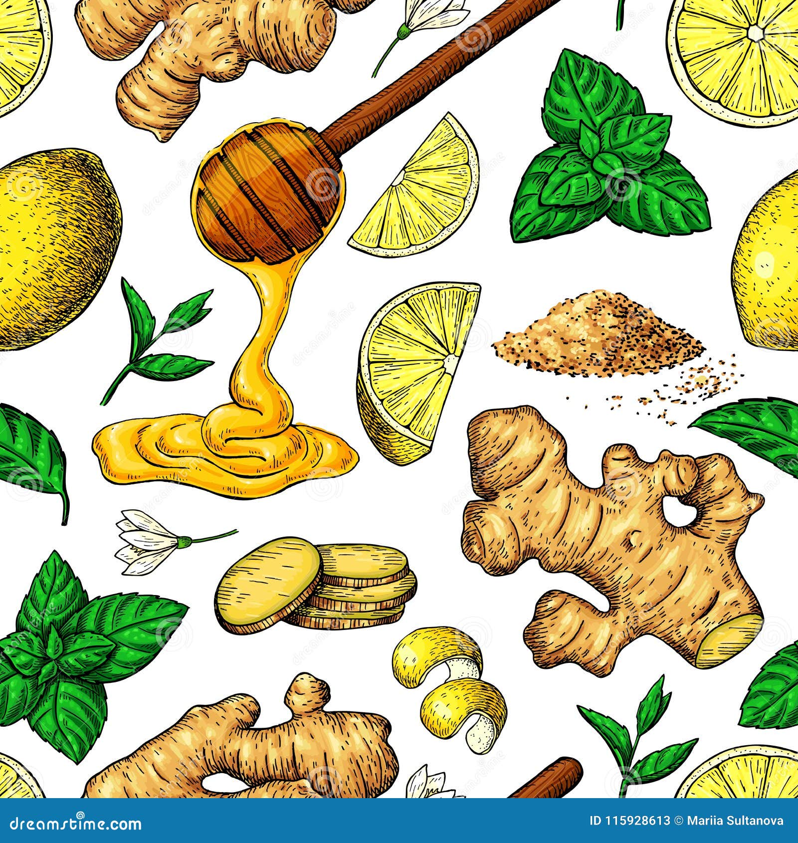 Ginger, Lemon And Mint Vector Drawing. Root, Hearb Leaf And Fruit Slice ...