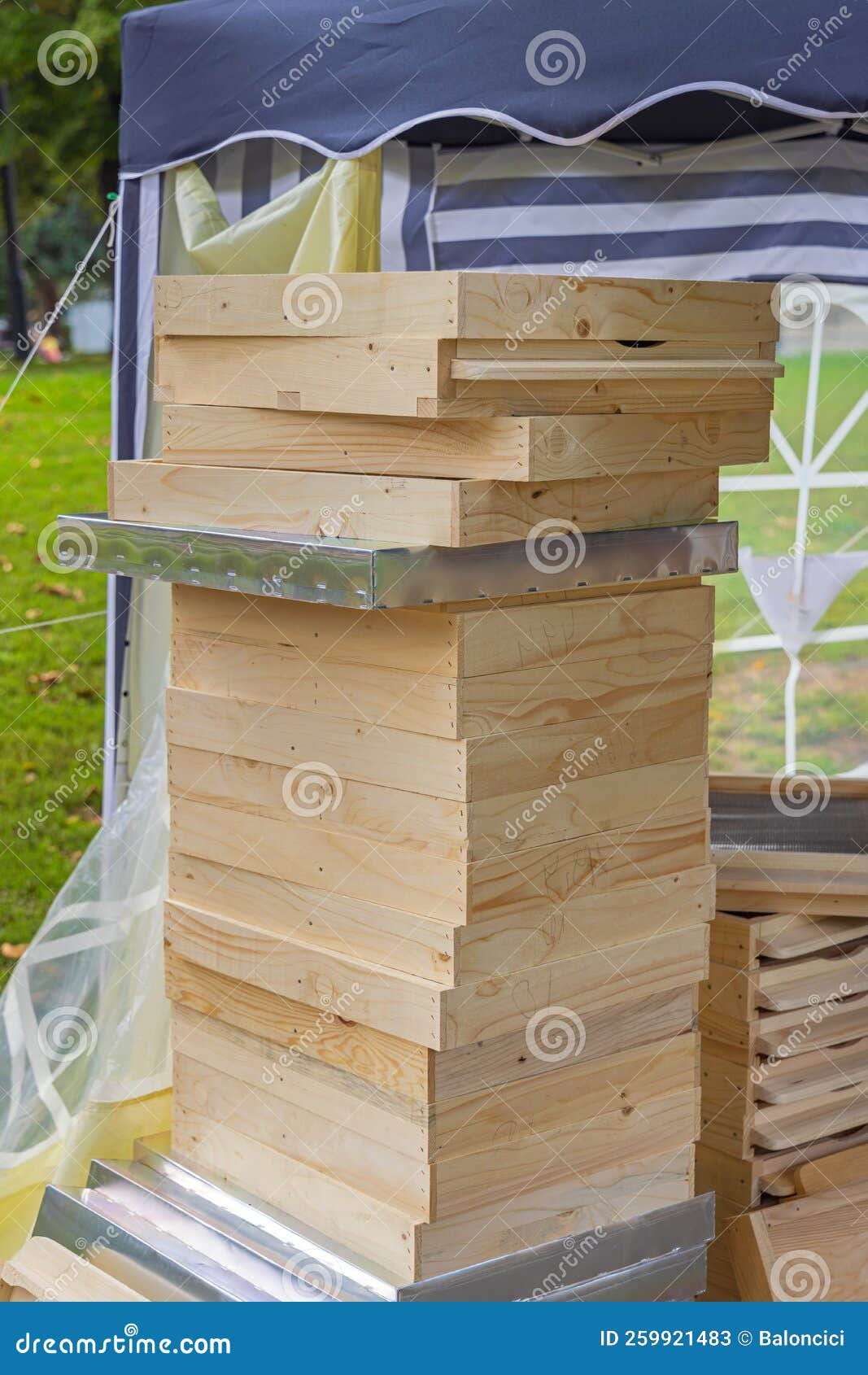 Honey Hive Frames Stack stock image. Image of beekeeper - 259921483