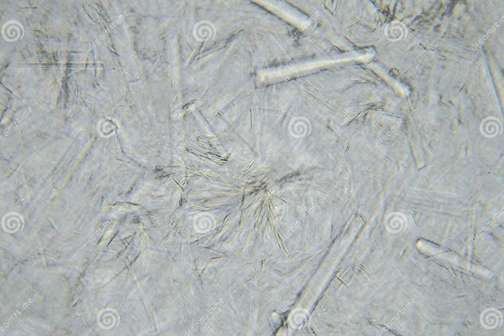 Honey with Large Rectangular Sugar Crystals Under Microscope Stock ...