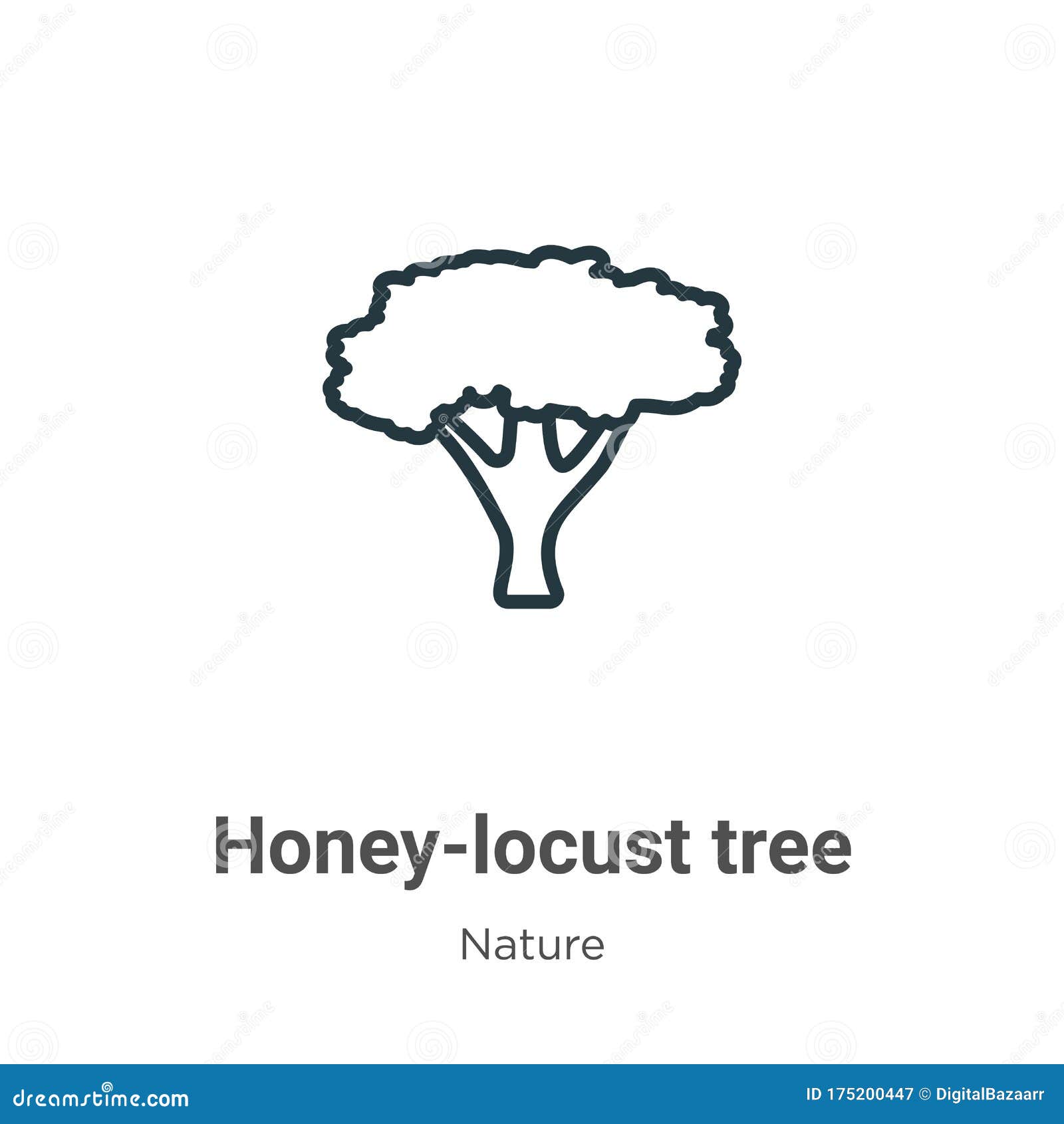 Honey-locust Tree Outline Vector Icon. Thin Line Black Honey-locust ...