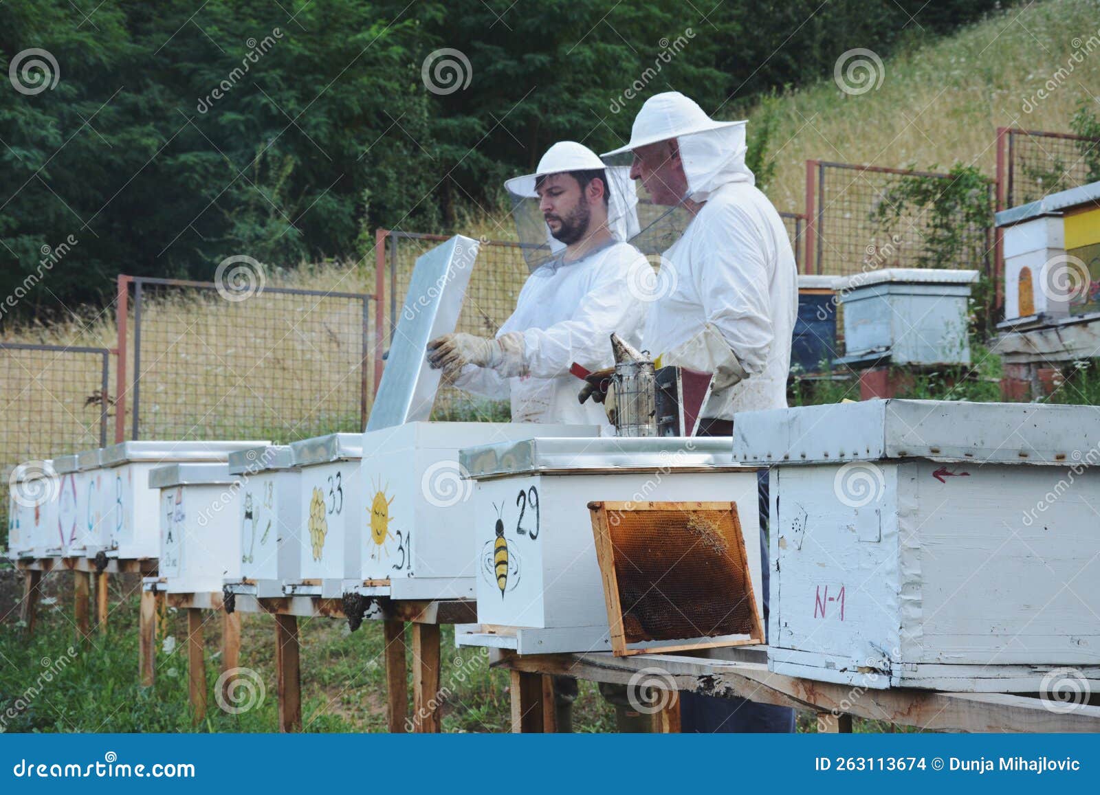 Honey Making Machine Royalty-Free Stock Photo | CartoonDealer.com #220031085