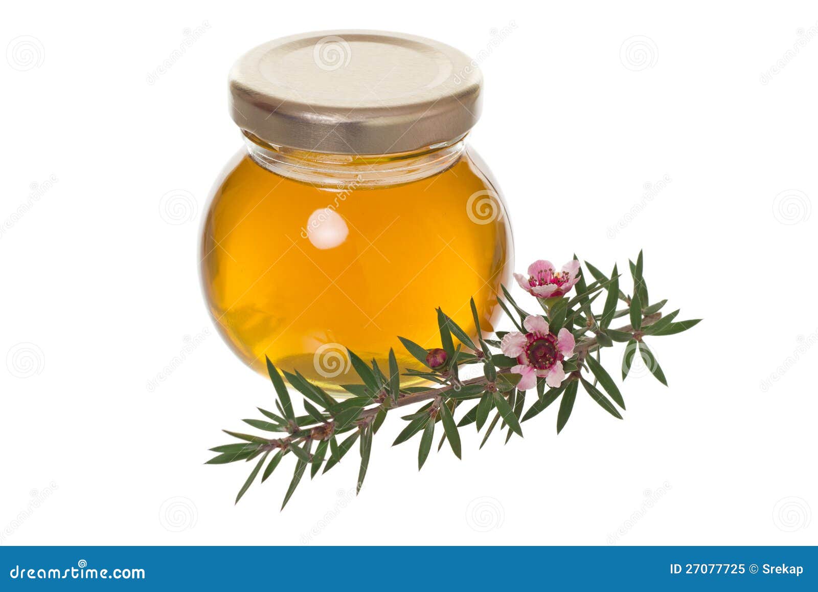 Honey with Manuka (Leptospermum) Flower Stock Image - Image of amber ...