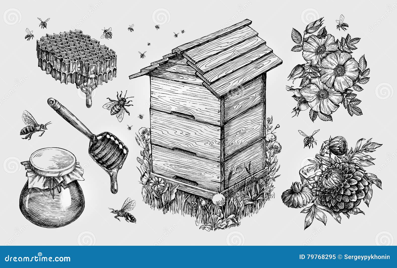 Honey, Mead. Beekeeping, Apiculture, Bees Sketch Vector Illustration ...