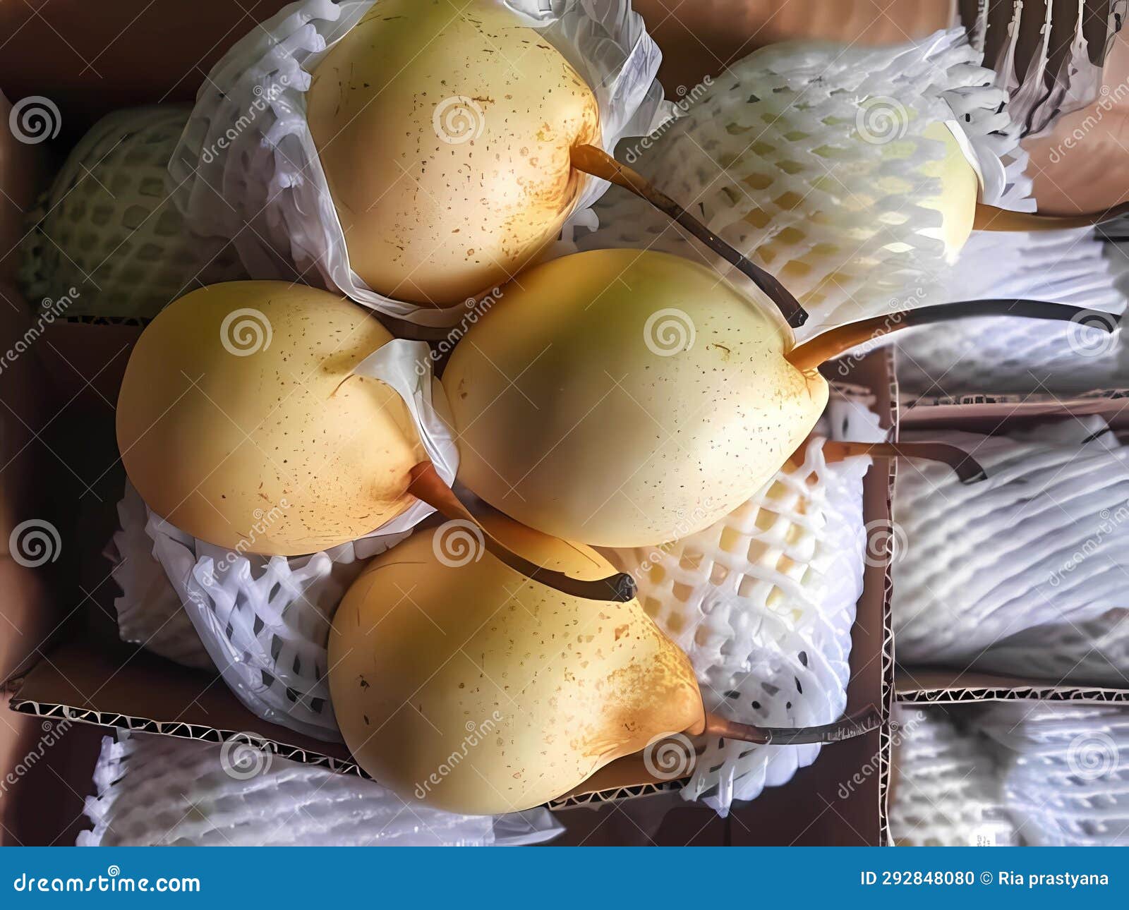 Honey Pears Packed with White Corks are Placed in Cardboard Boxes Stock ...
