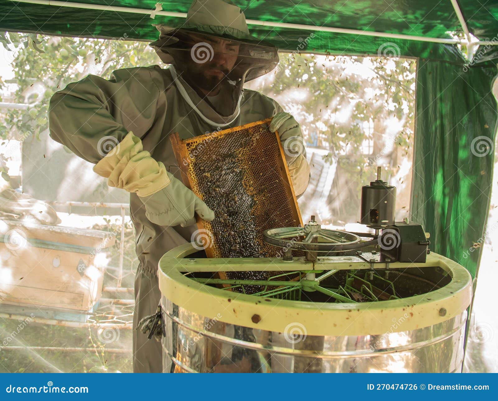 Honey Production and Bees Keeping - Beekeeping Concept Stock Photo ...