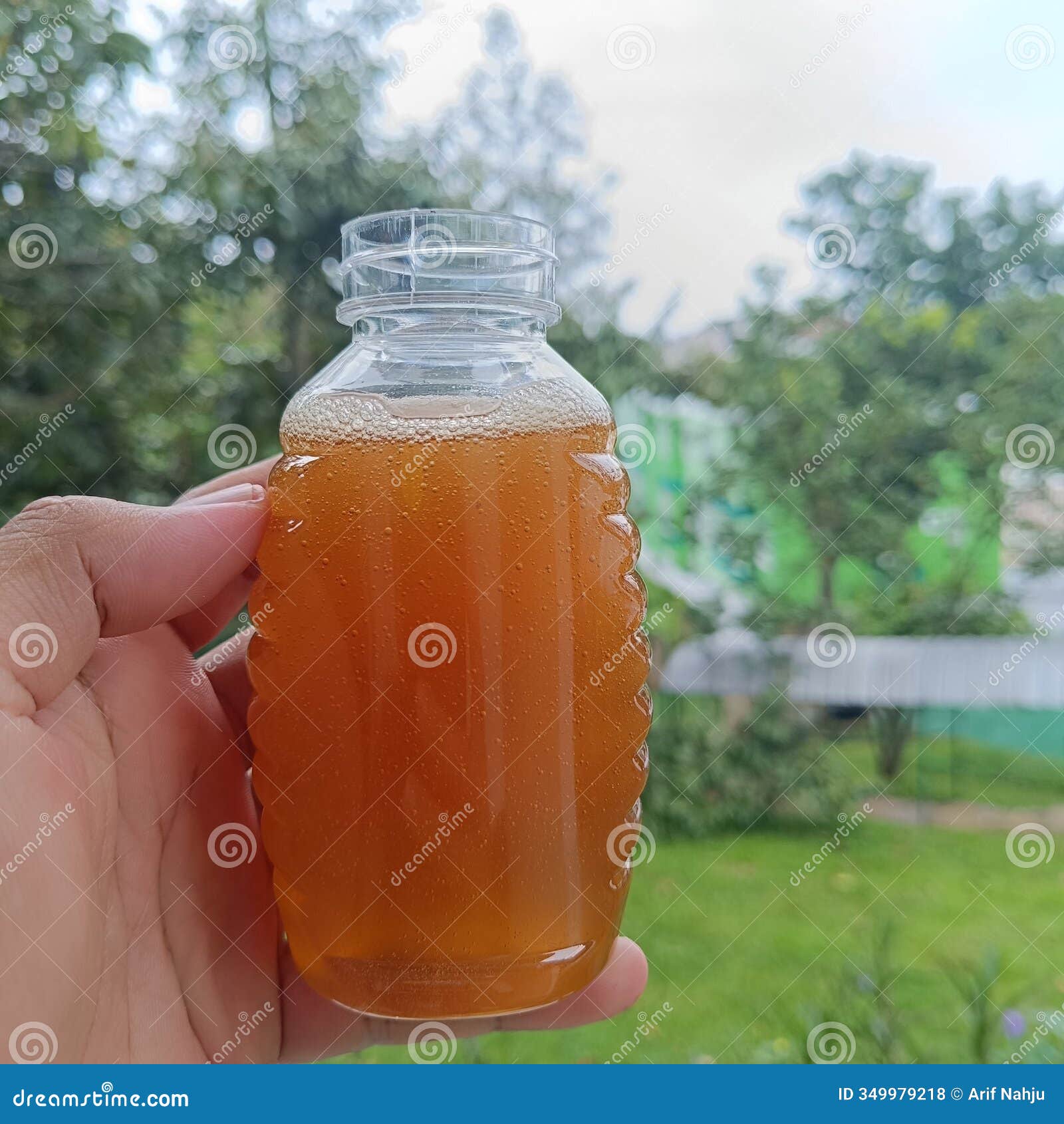 The Honey Sumatra& X27;s, of Sialang Tree, Healthy Stock Photo - Image ...