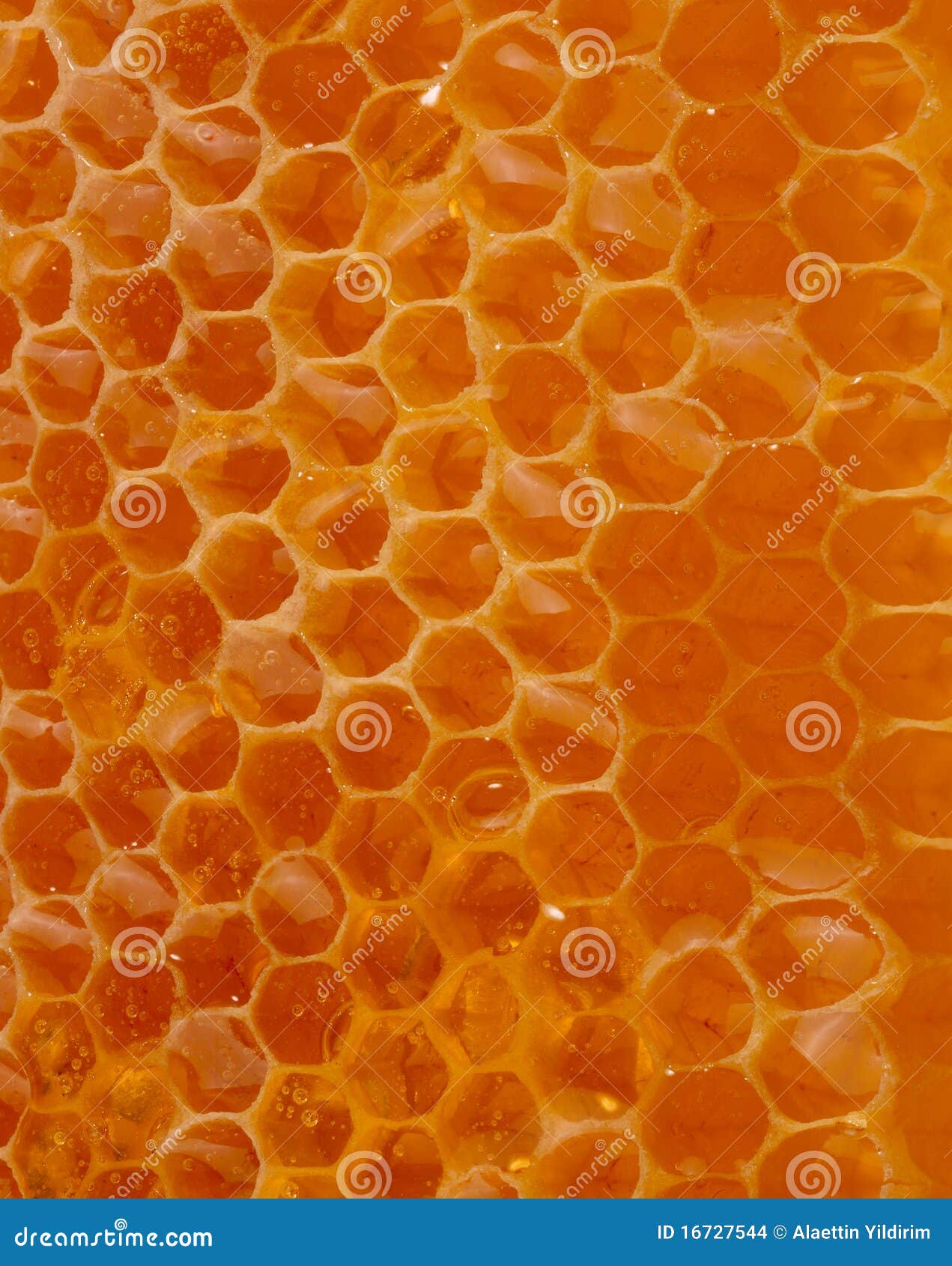 Honey Texture stock photo. Image of diligent, hexagon - 16727544