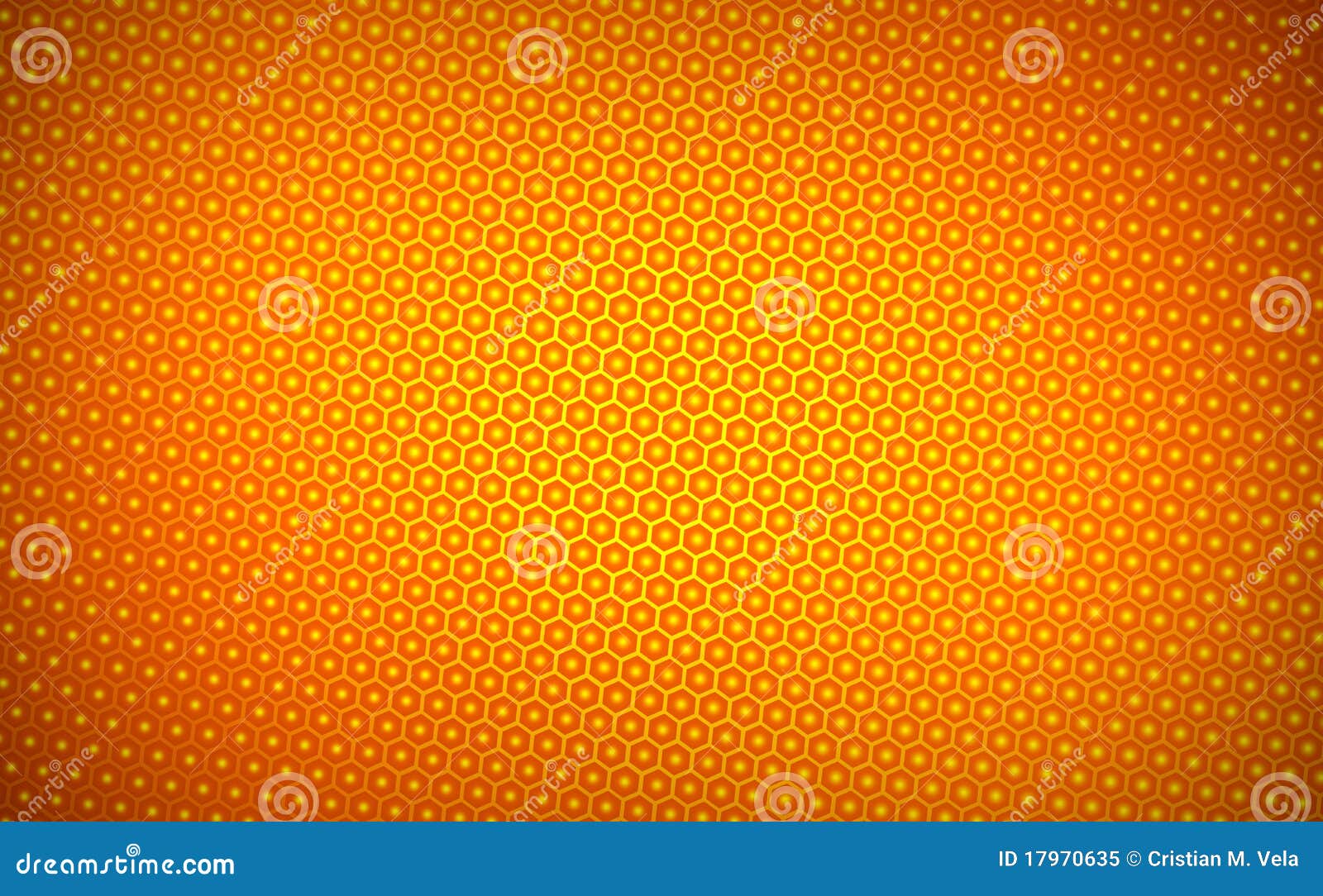 Honey Texture Vector Illustration | CartoonDealer.com #20714098