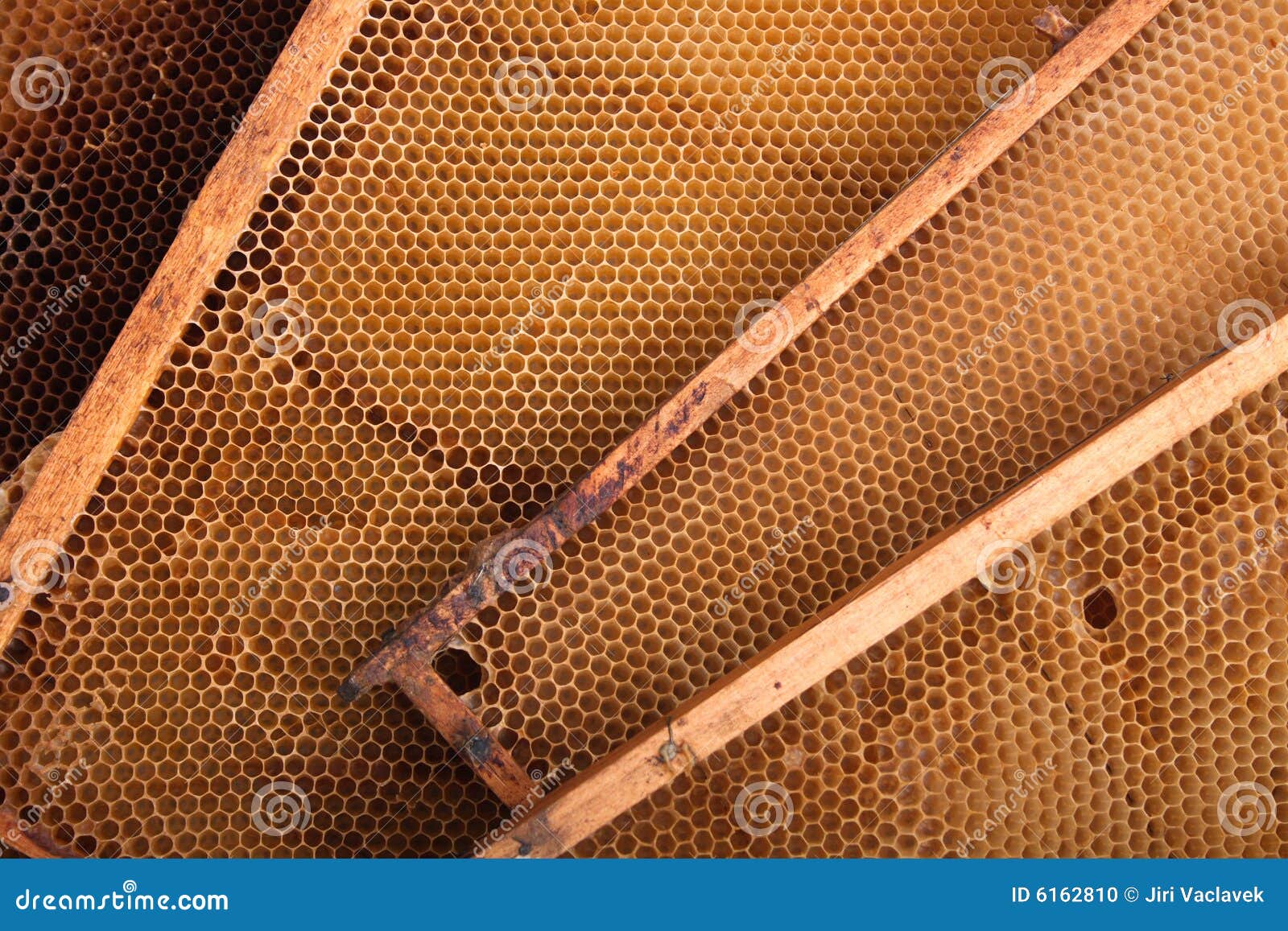 Honey Texture Picture. Image: 6162810
