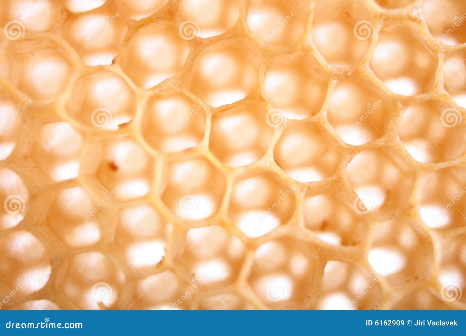 Honey Texture Picture. Image: 6162909