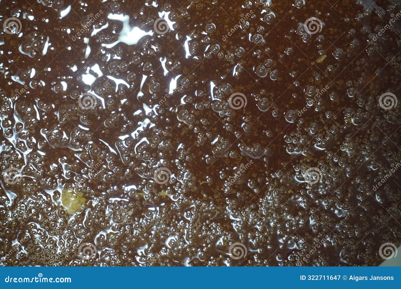 Honey Texture with Bubbles on Beeswax Cells Stock Image - Image of ...