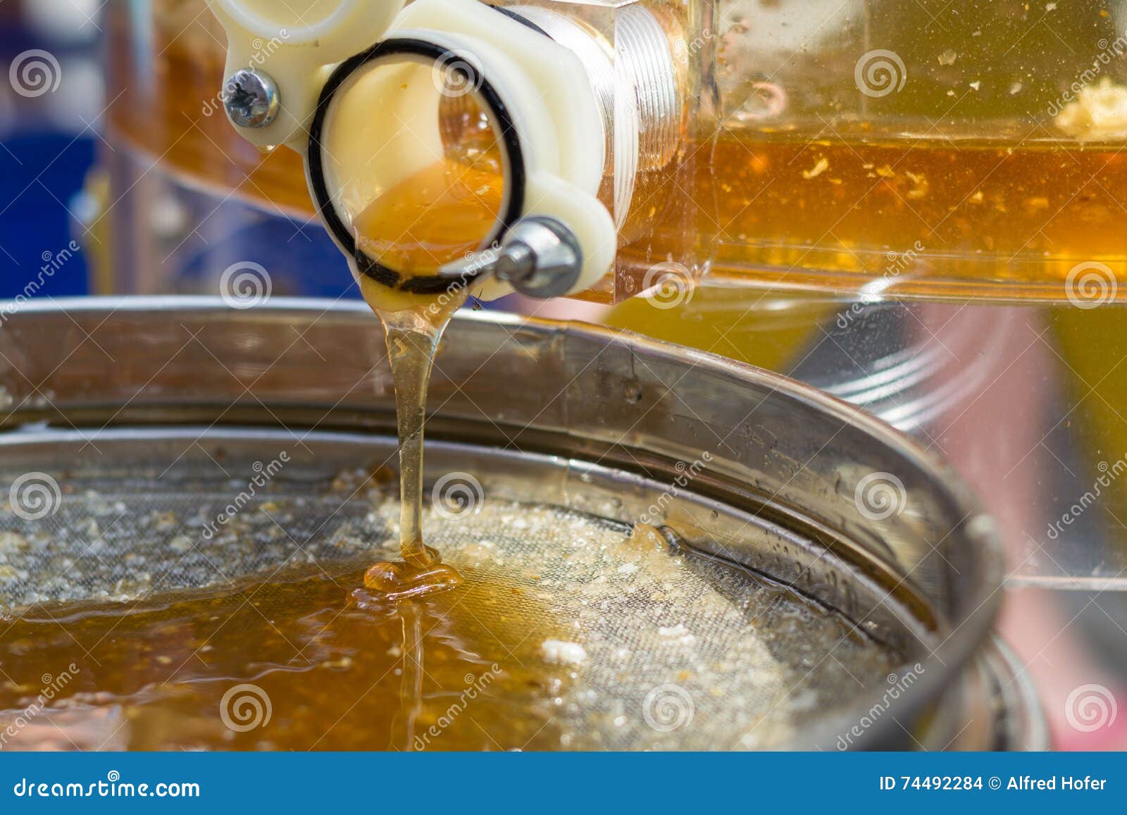 Honey is Thrown from Honeycomb Stock Photo - Image of beekeeping ...