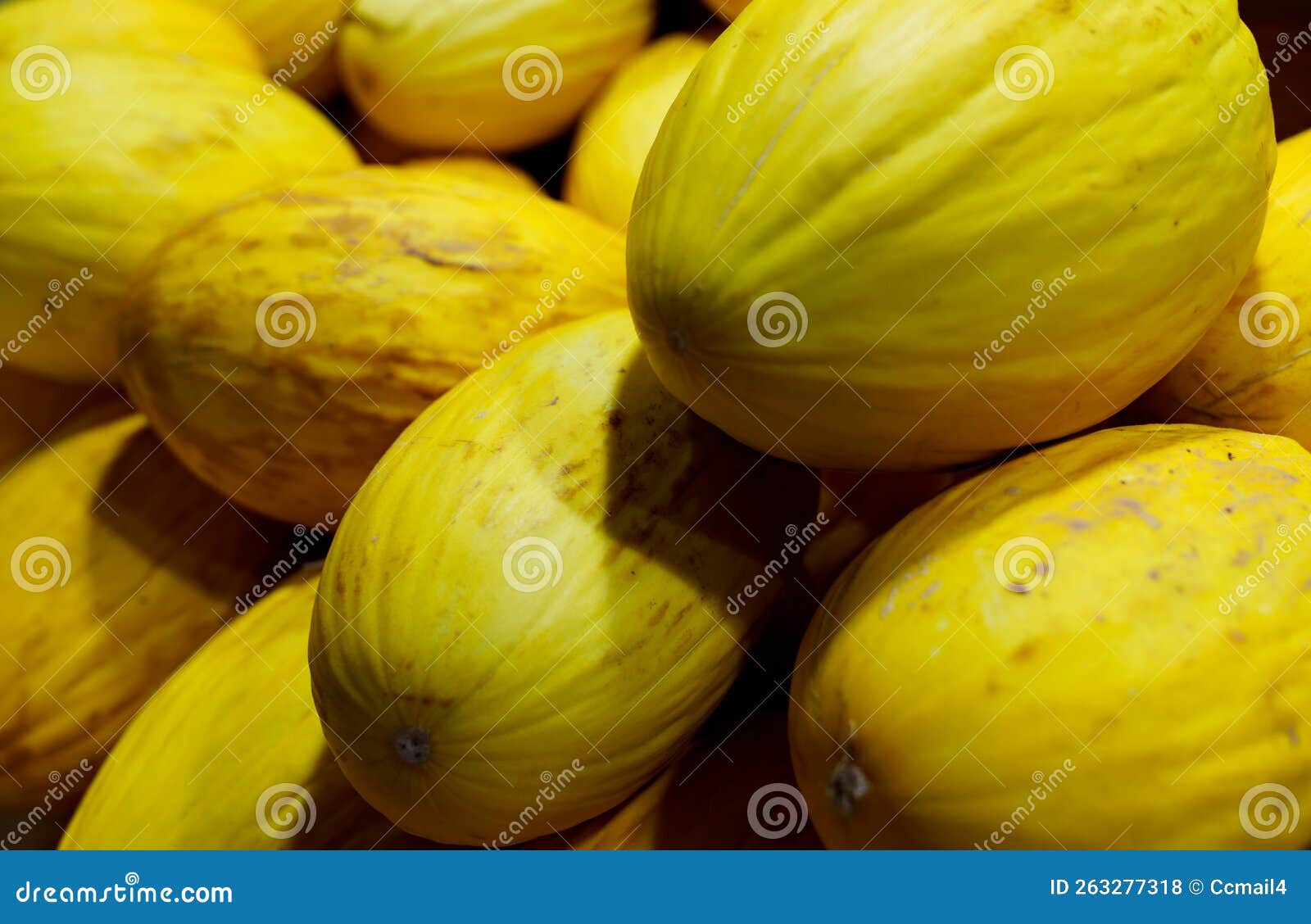 Honey Yellow Melons at Market Stall Stock Photo - Image of fresh ...