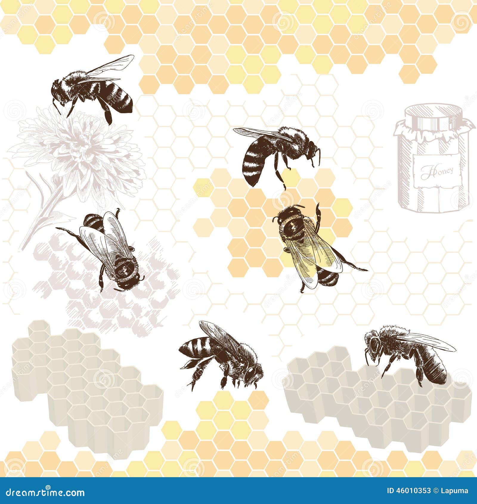Honeybees on a comb stock vector. Illustration of propolis - 46010353