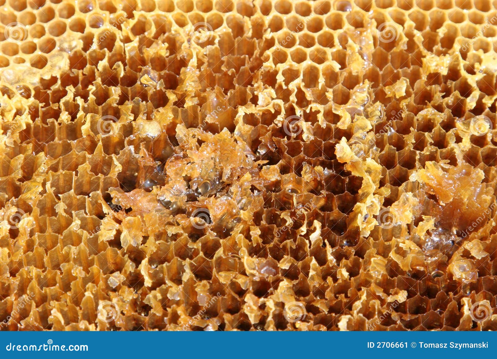 Honeycomb stock image. Image of honey, close, concepts - 2706661