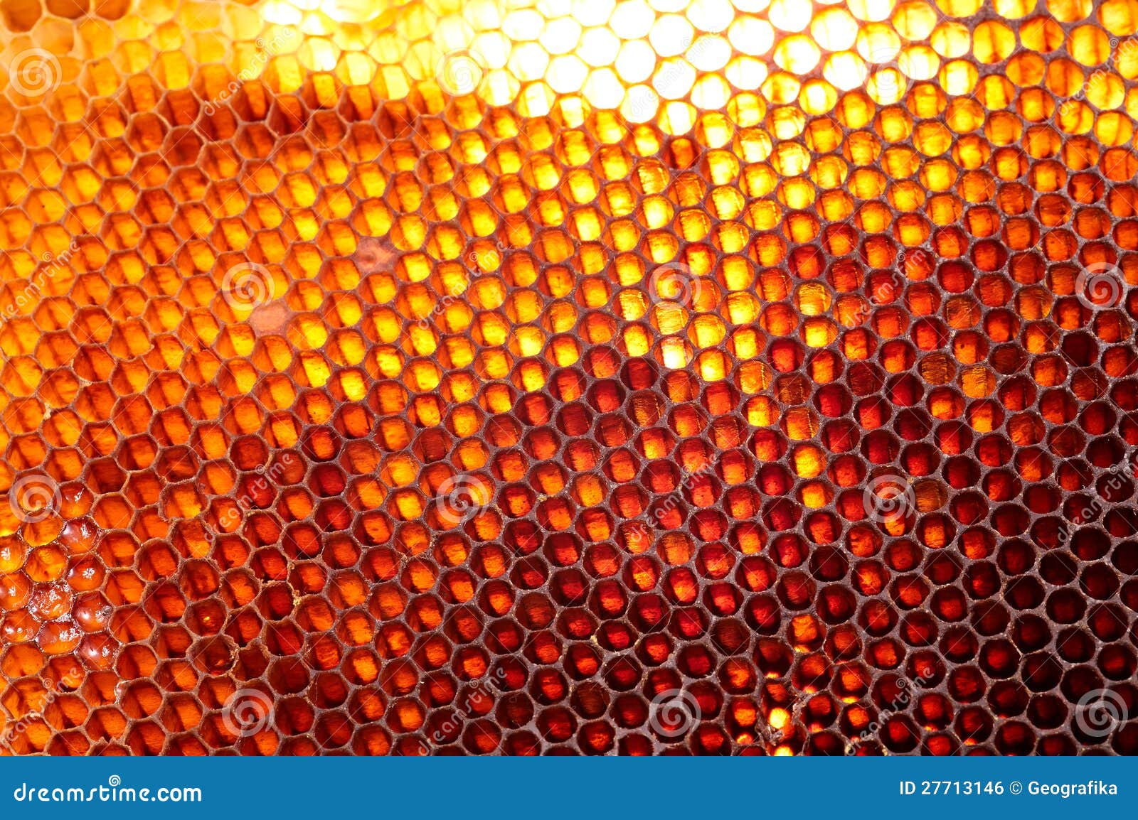 Honeycomb Background Royalty-Free Stock Image | CartoonDealer.com #27709114
