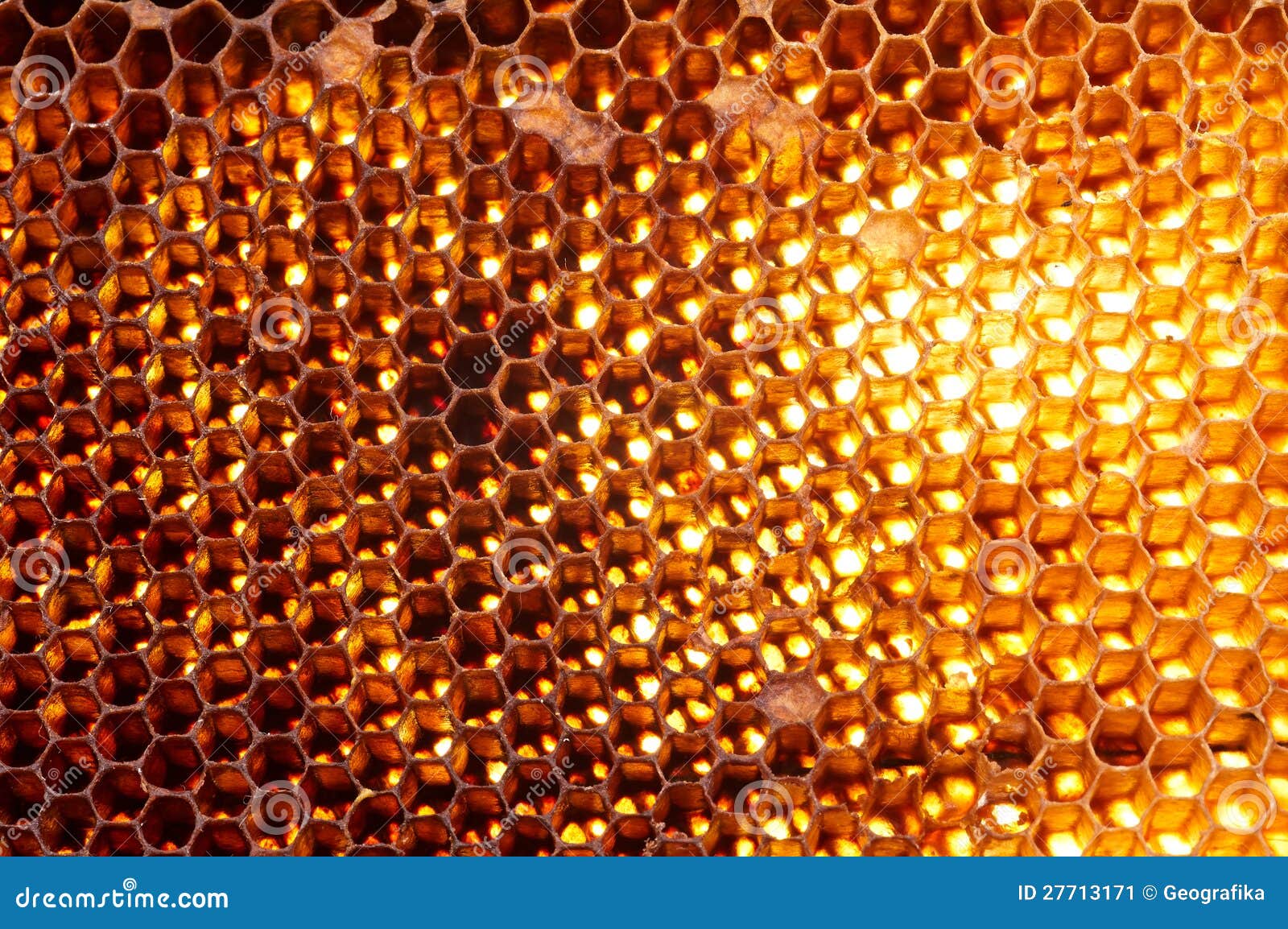 Honeycomb Background Royalty-Free Stock Image | CartoonDealer.com #27709114