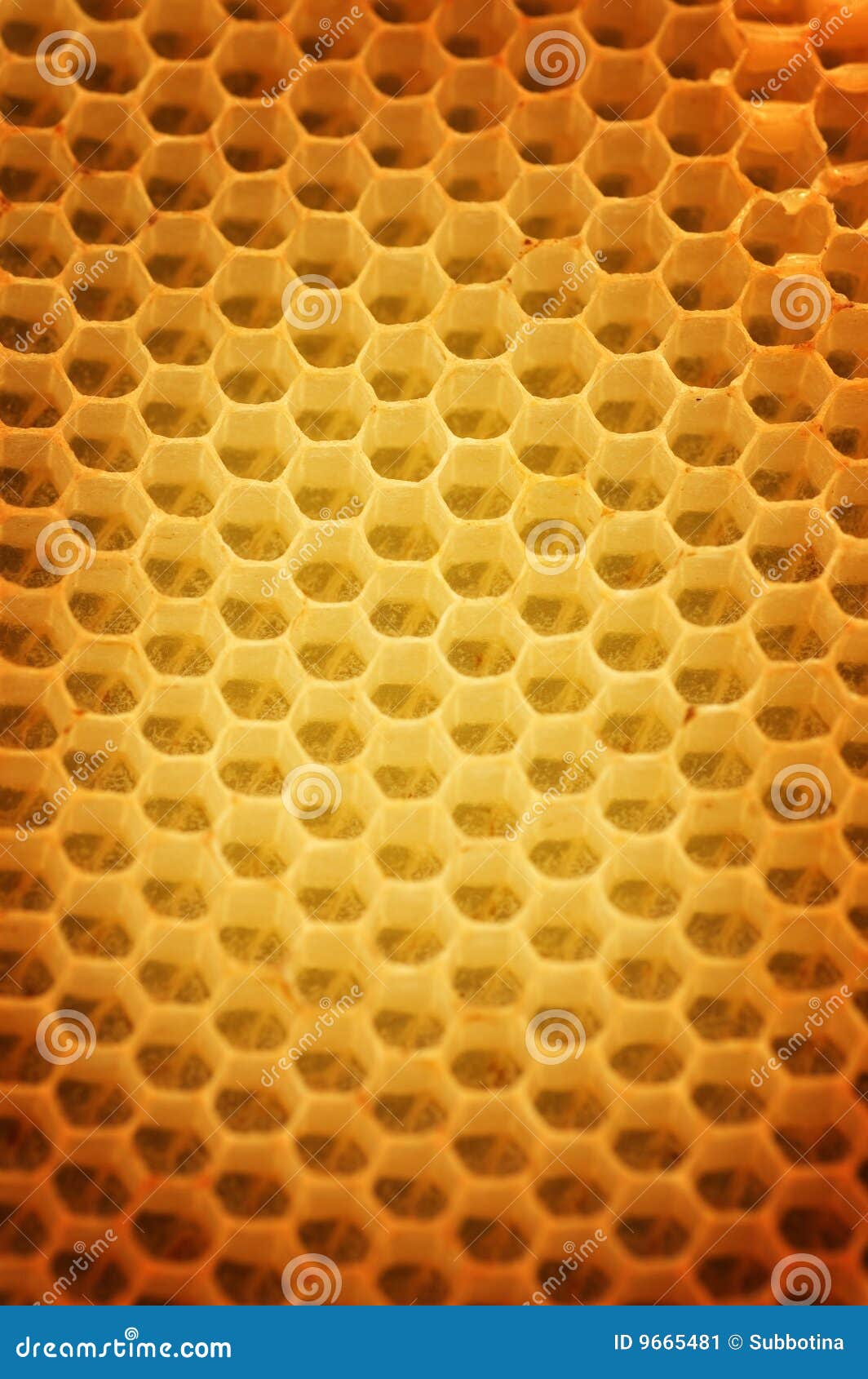 Honeycomb Background Royalty-Free Stock Image | CartoonDealer.com #27709114