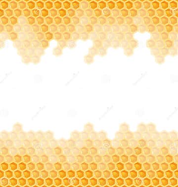 Honeycomb Background - Endless Stock Vector - Illustration of infinite, insect: 41066333