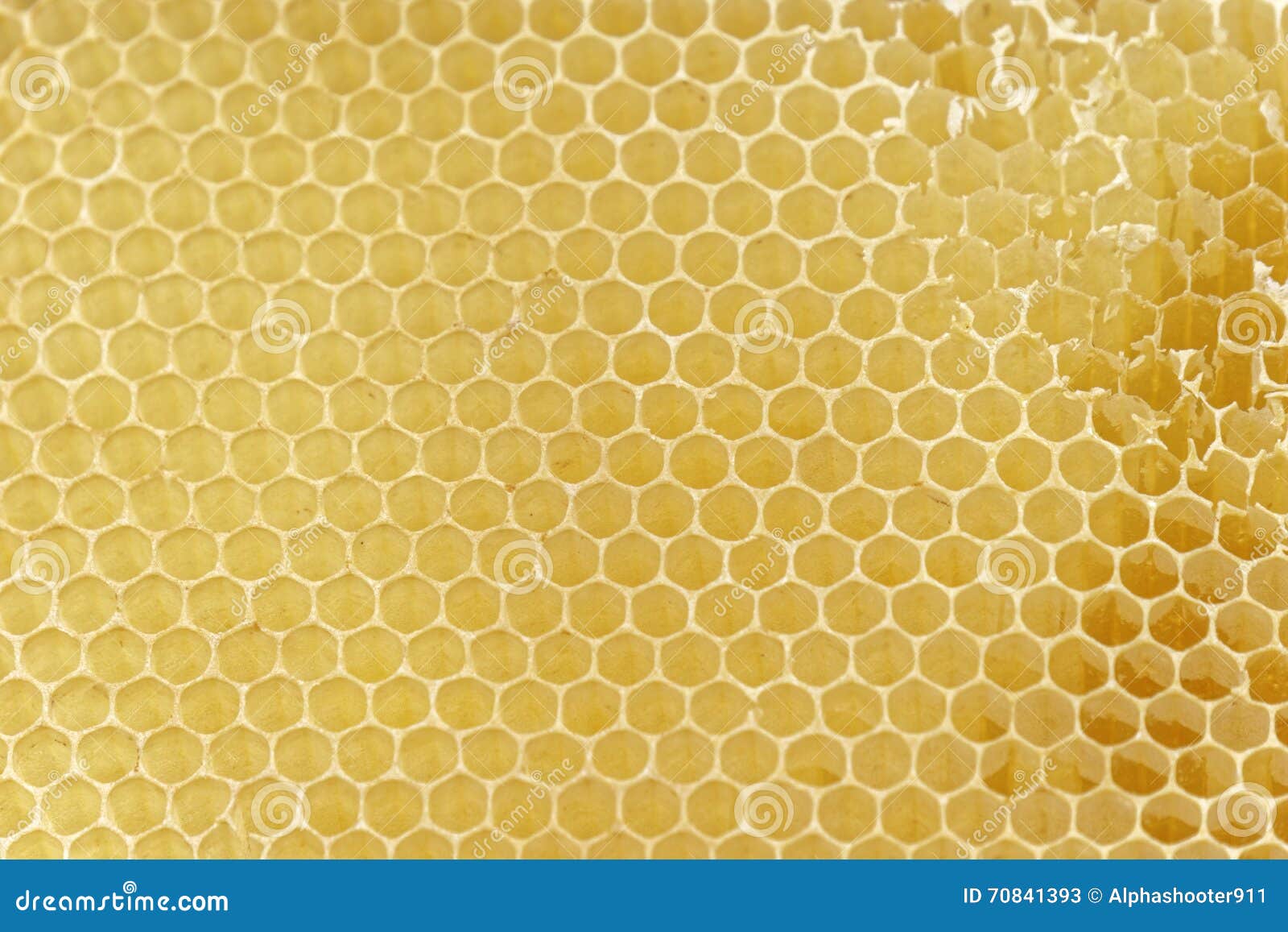 Honeycomb base stock image. Image of wire, beekeeping - 70841393