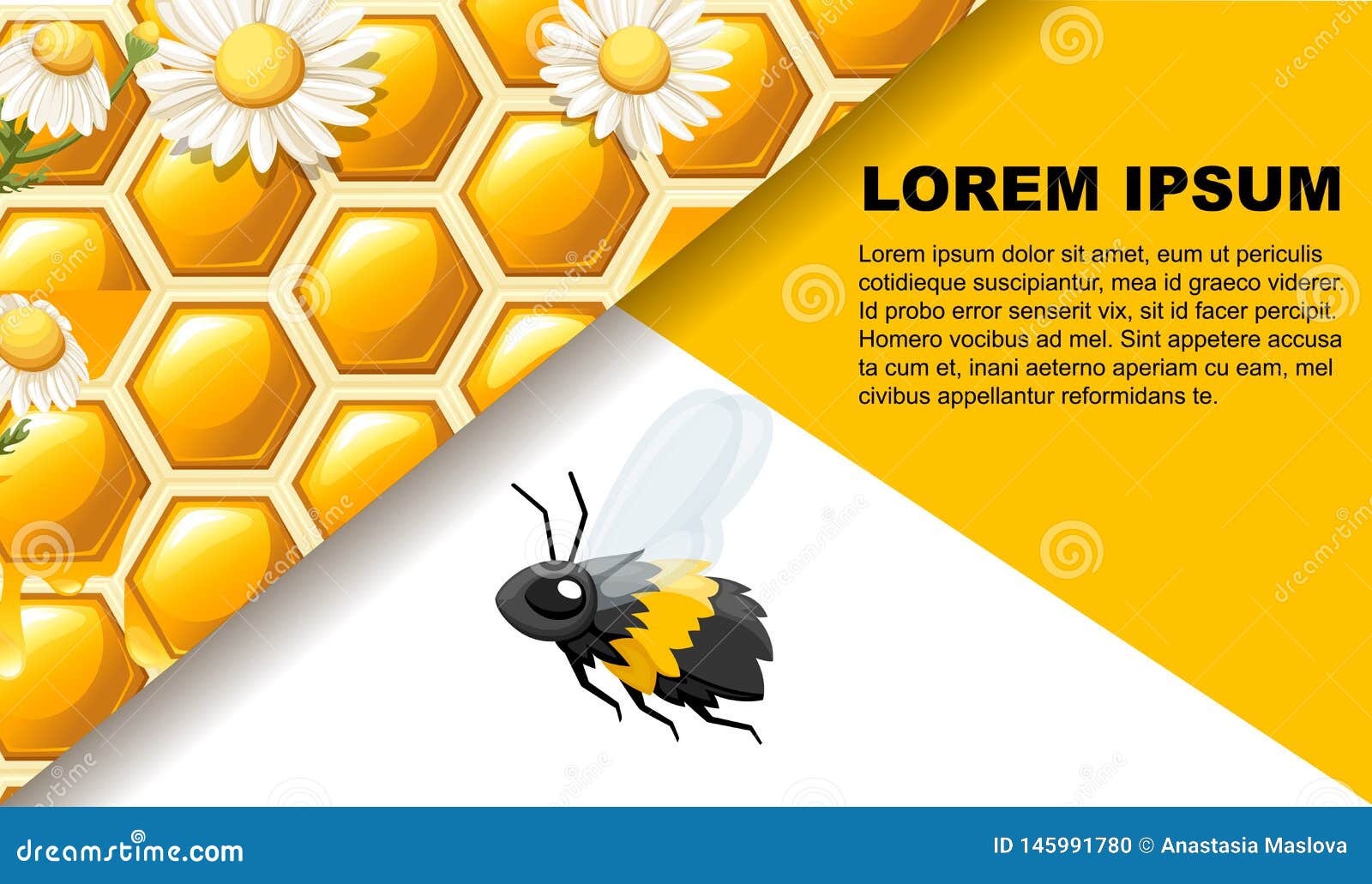 Honeycomb with Bee and White White Daisy. Web Site Page and Mobile App ...