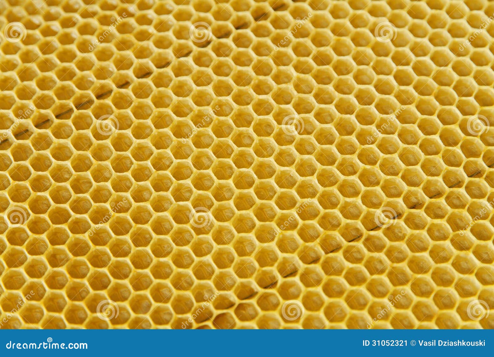 Honeycomb stock image. Image of yellow, frame, honeycomb - 31052321