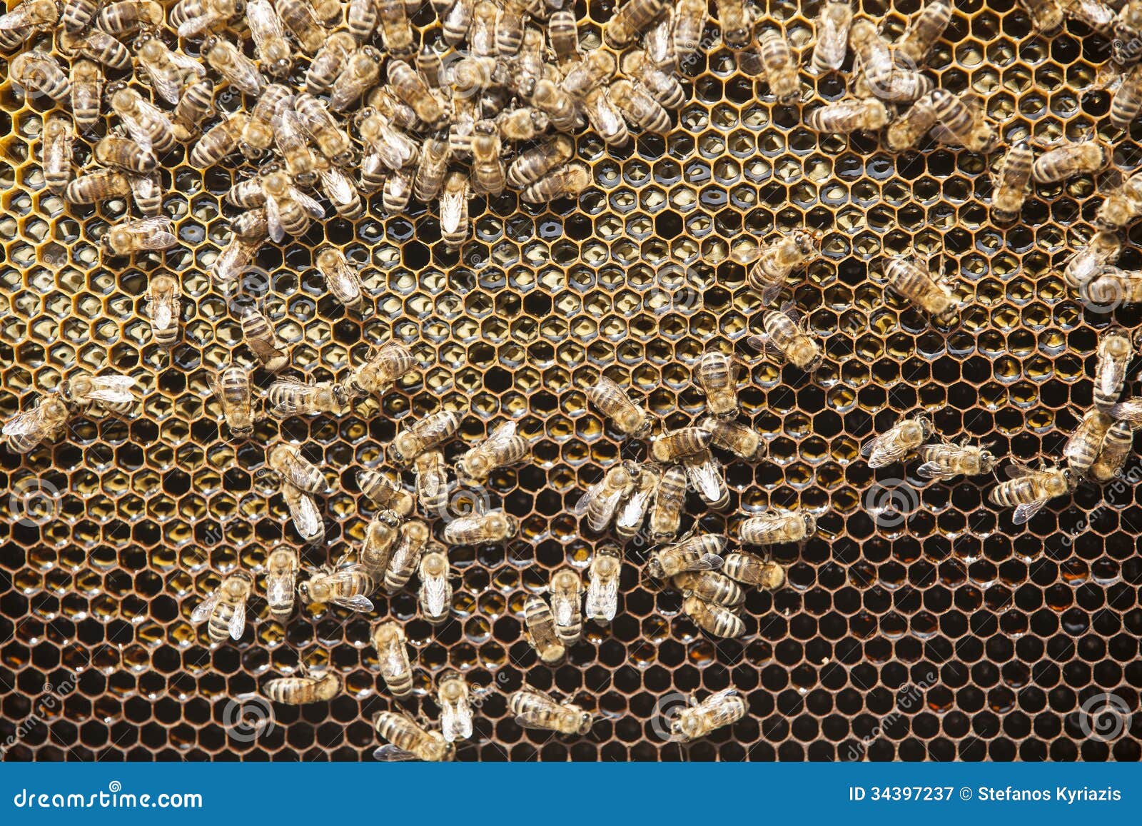 Honeycomb stock image. Image of beeswax, hive, bees, honeycomb - 34397237
