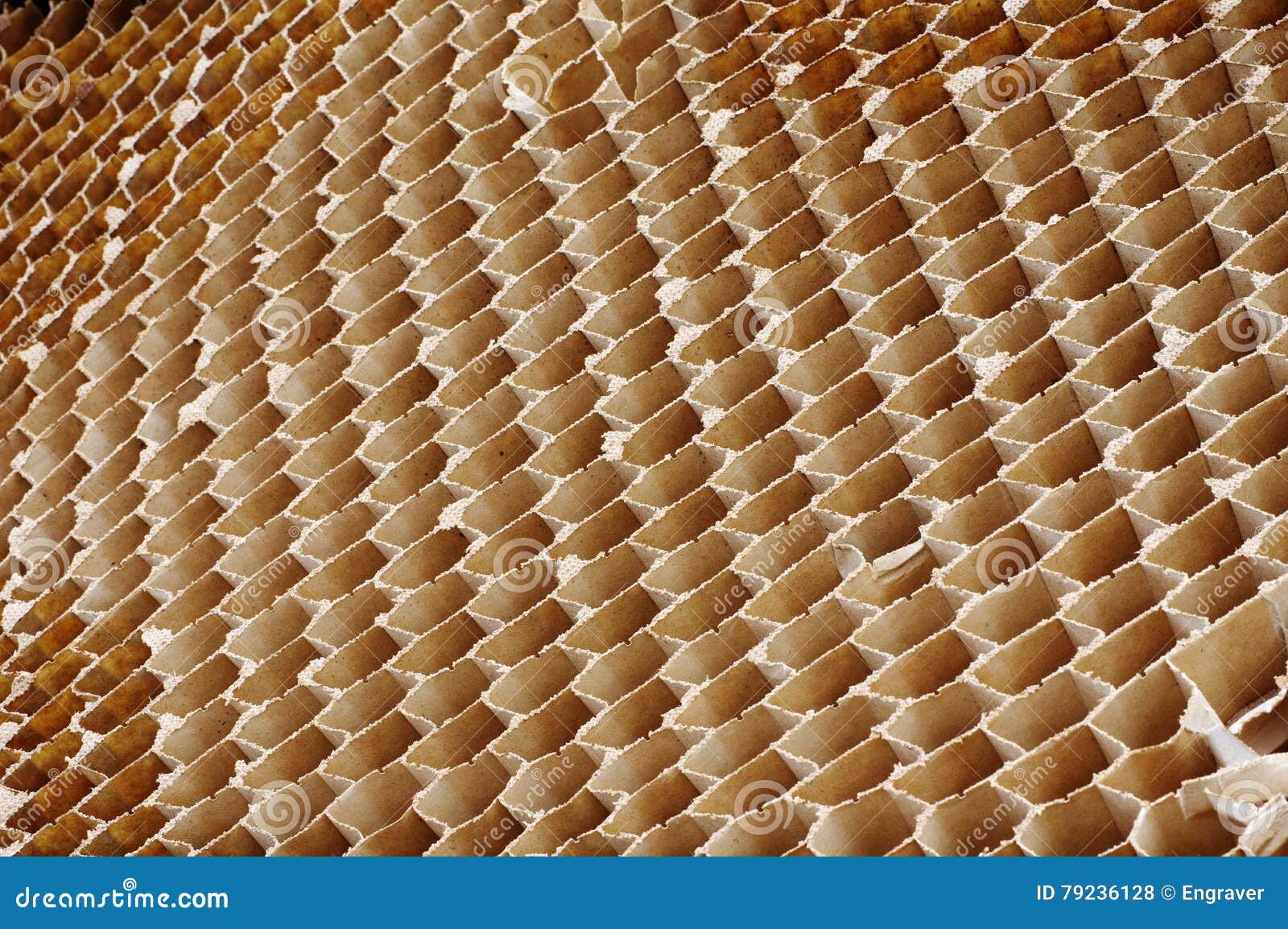 Honeycomb Cardboard Cells Abstract Stock Photo - Image of cargo ...