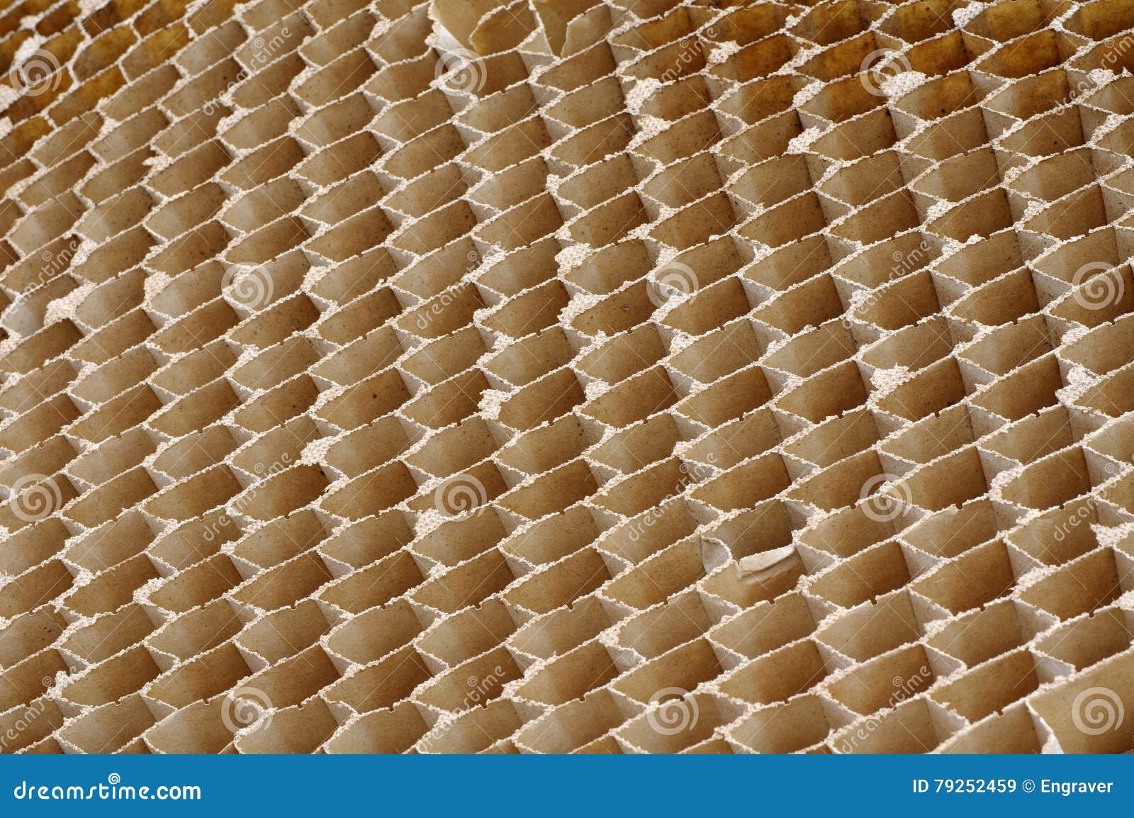 Honeycomb cardboard cells stock image. Image of honey - 79252459