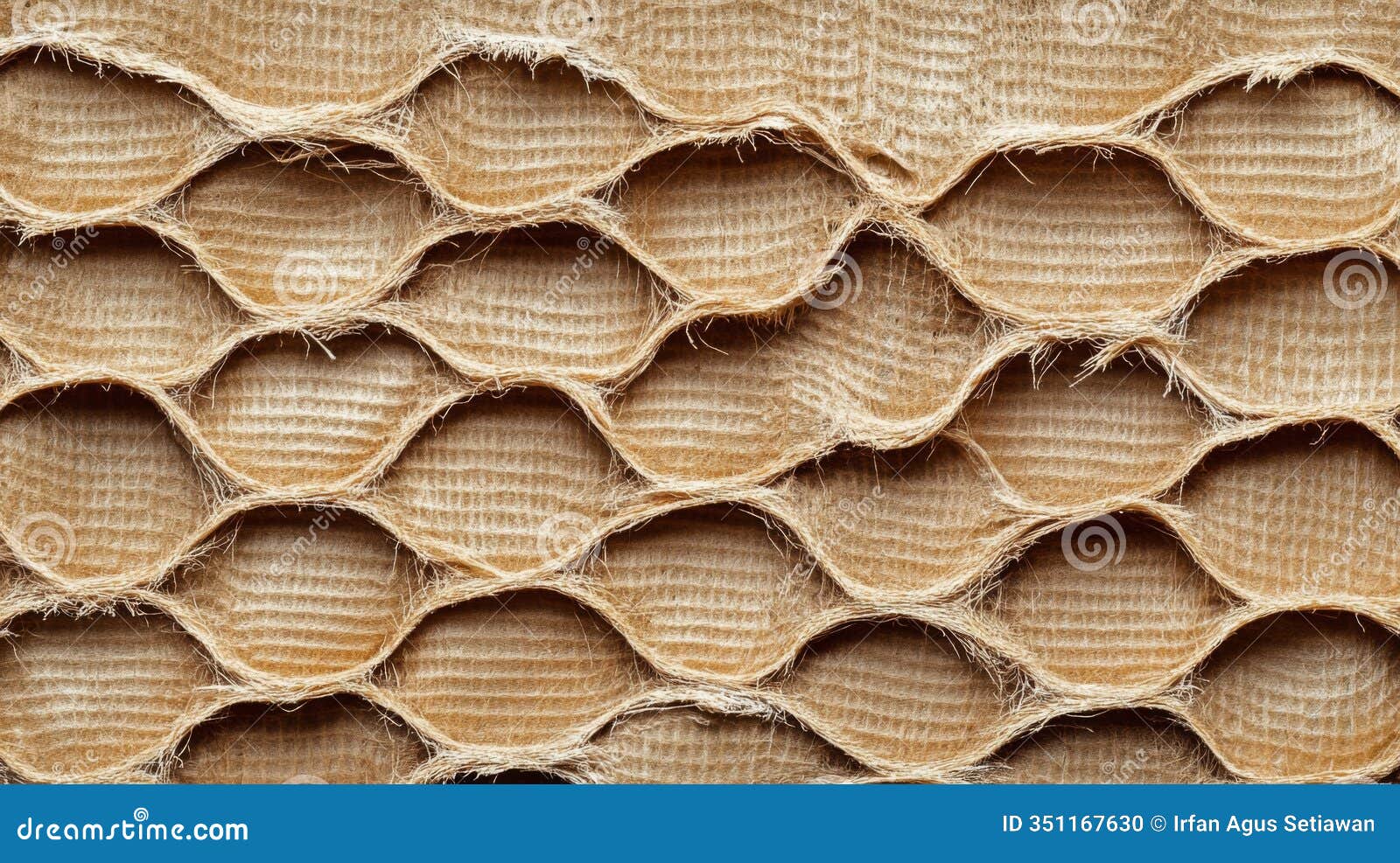 Honeycomb Cardboard Texture Detailed Close Up Stock Illustration ...