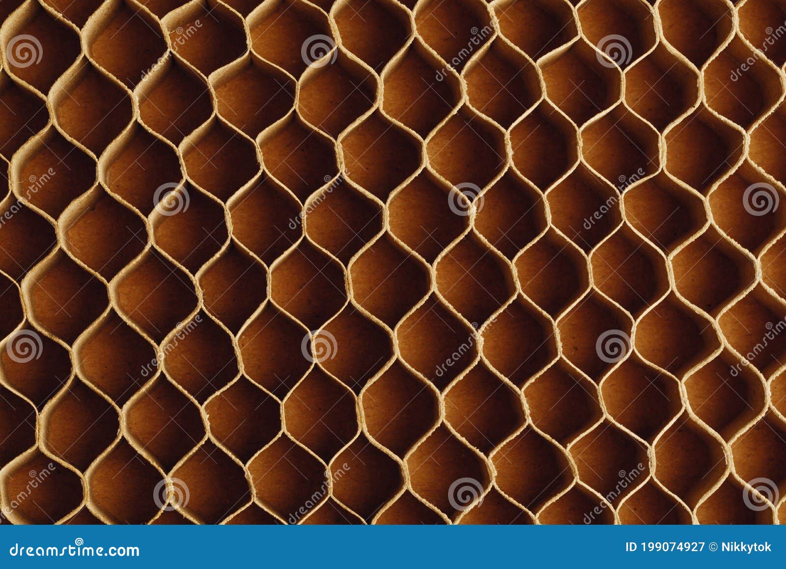 Honeycomb Cells of Cardboard Stiffening Rib Background Stock Image ...