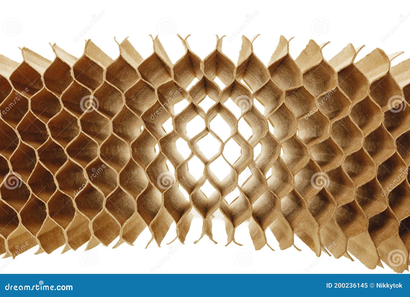 Honeycomb Cells Of Cardboard Stiffening Rib Background Royalty-Free ...