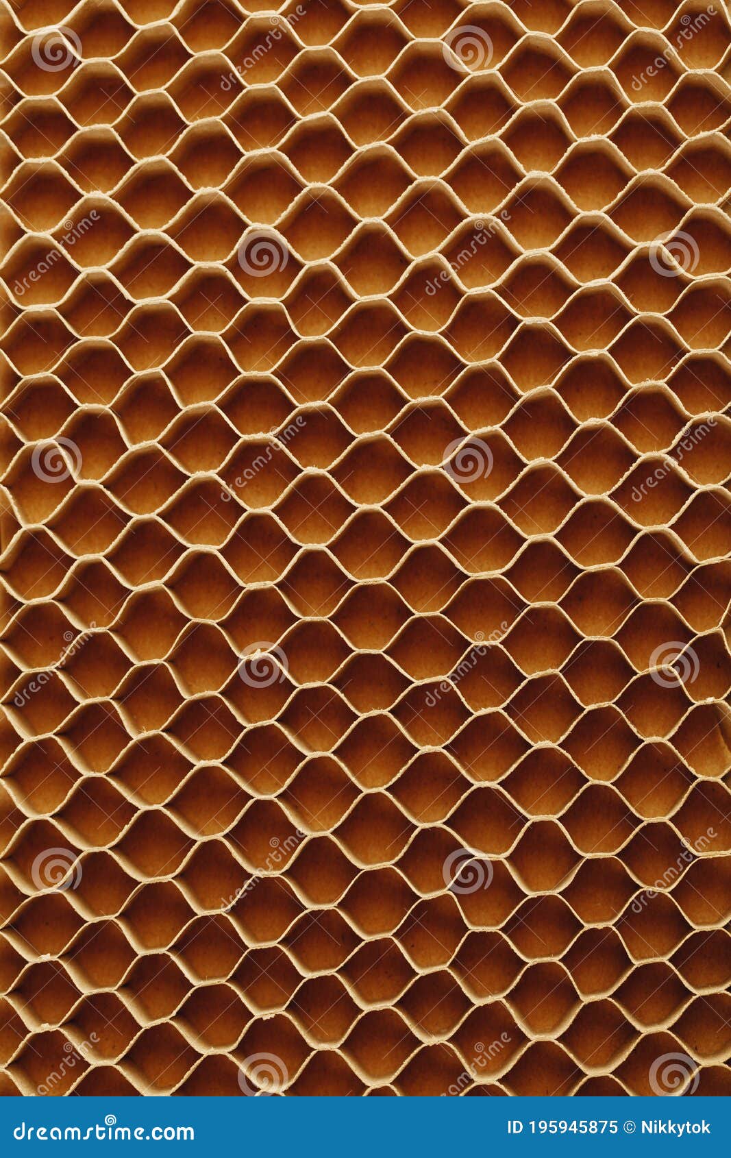 Honeycomb Cells of Cardboard Stiffening Rib Background Stock Image ...