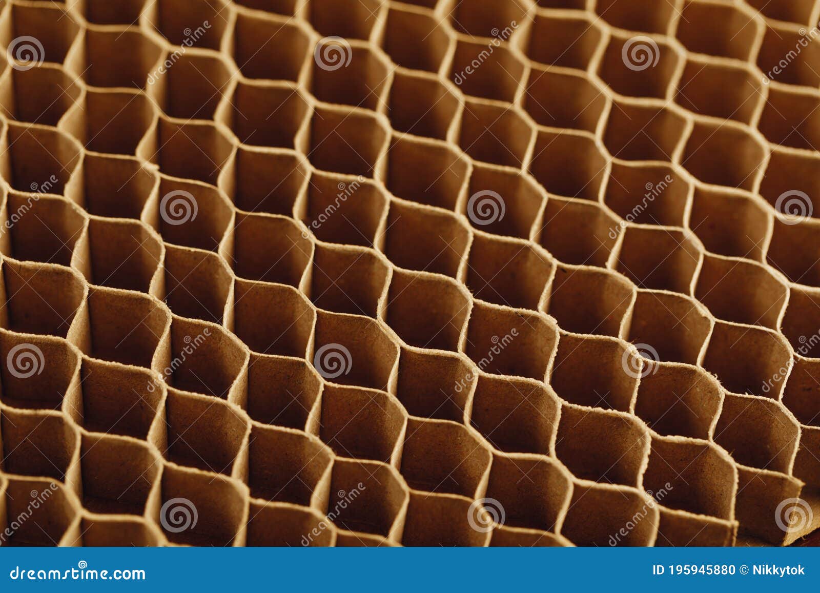 Honeycomb Cells of Cardboard Stiffening Rib Background Stock Photo ...