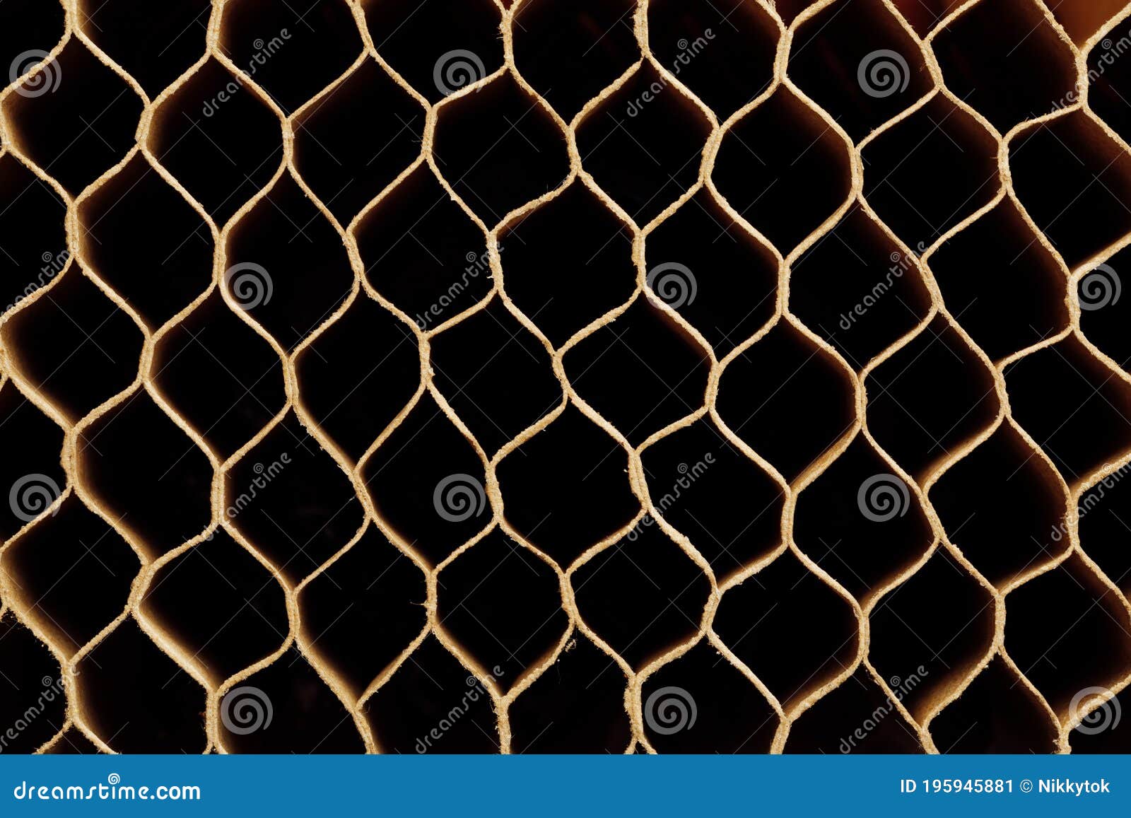 Honeycomb Cells of Cardboard Stiffening Rib Background Stock Image ...