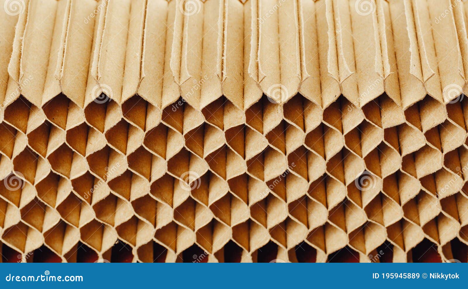 Honeycomb Cells of Cardboard Stiffening Rib Background Stock Image ...