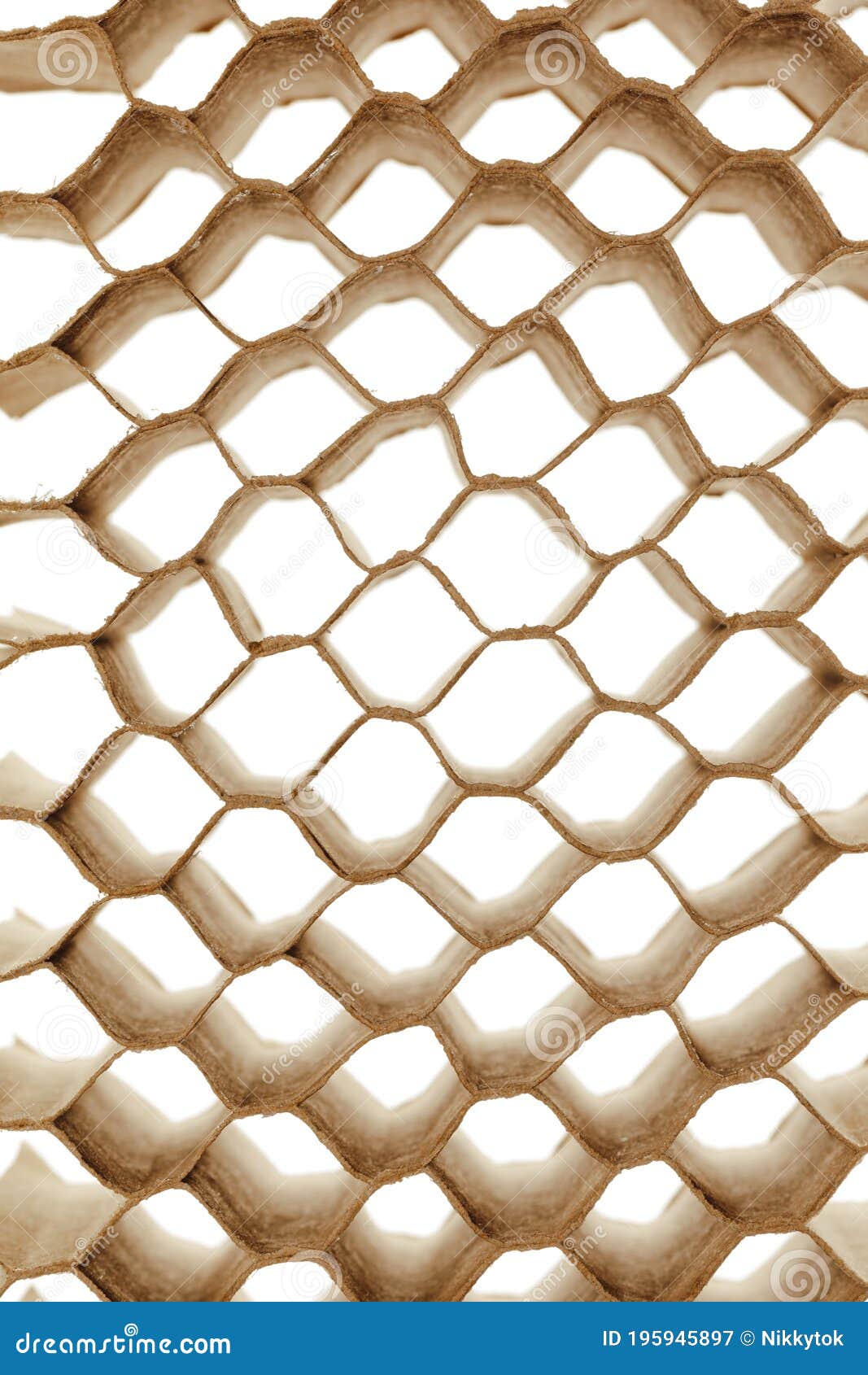 Honeycomb Cells Of Cardboard Stiffening Rib Background Royalty-Free ...