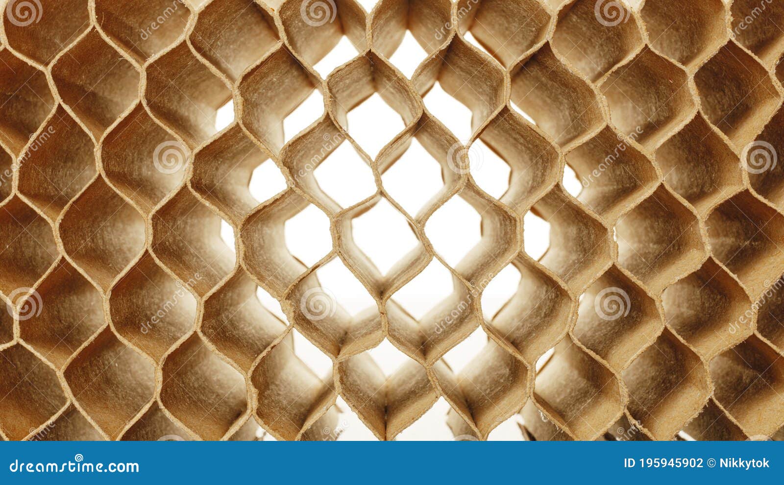 Honeycomb Cells of Cardboard Stiffening Rib Background Stock Photo ...