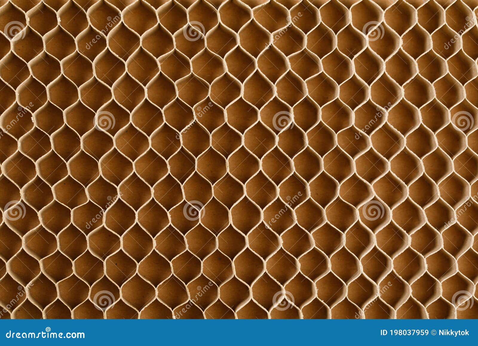 Honeycomb Cells of Cardboard Stiffening Rib Background Stock Image ...