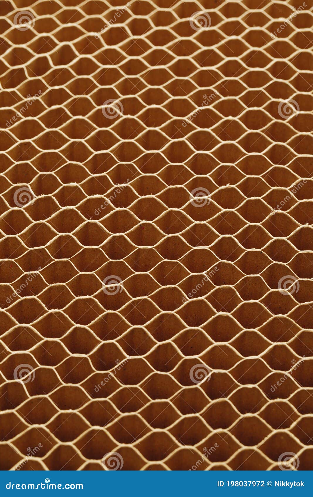 Honeycomb Cells of Cardboard Stiffening Rib Background Stock Photo ...