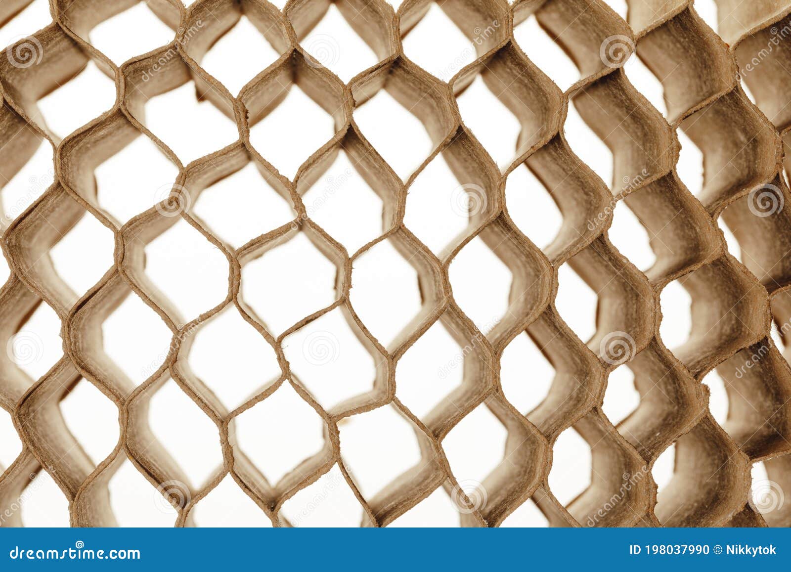 Honeycomb Cells of Cardboard Stiffening Rib Background Stock Photo ...