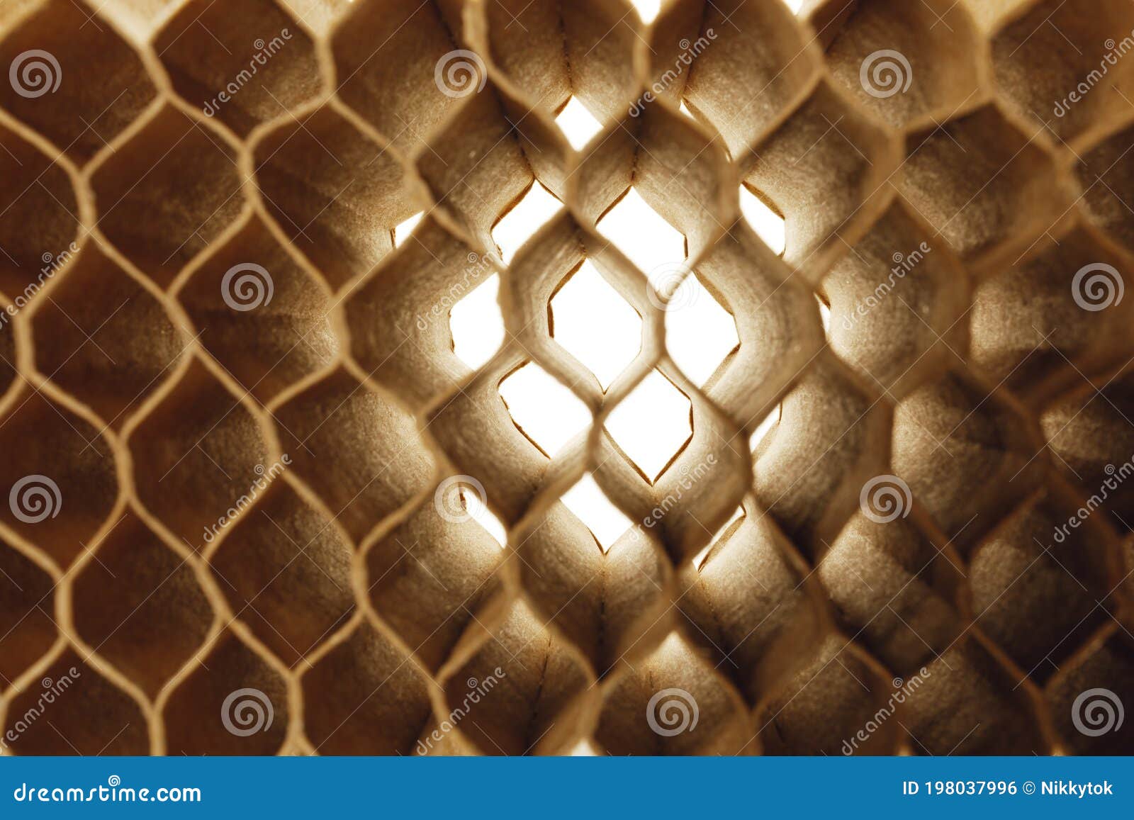 Honeycomb Cells of Cardboard Stiffening Rib Background Stock Photo ...