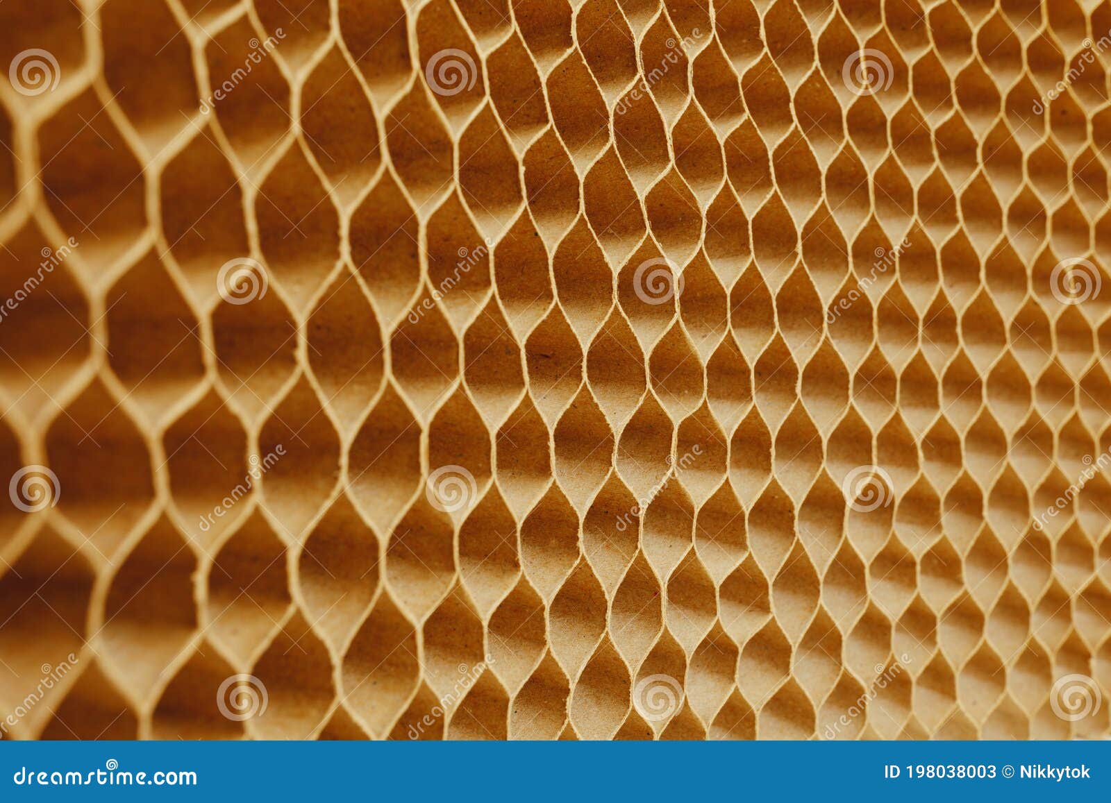 Honeycomb Cells of Cardboard Stiffening Rib Background Stock Image ...