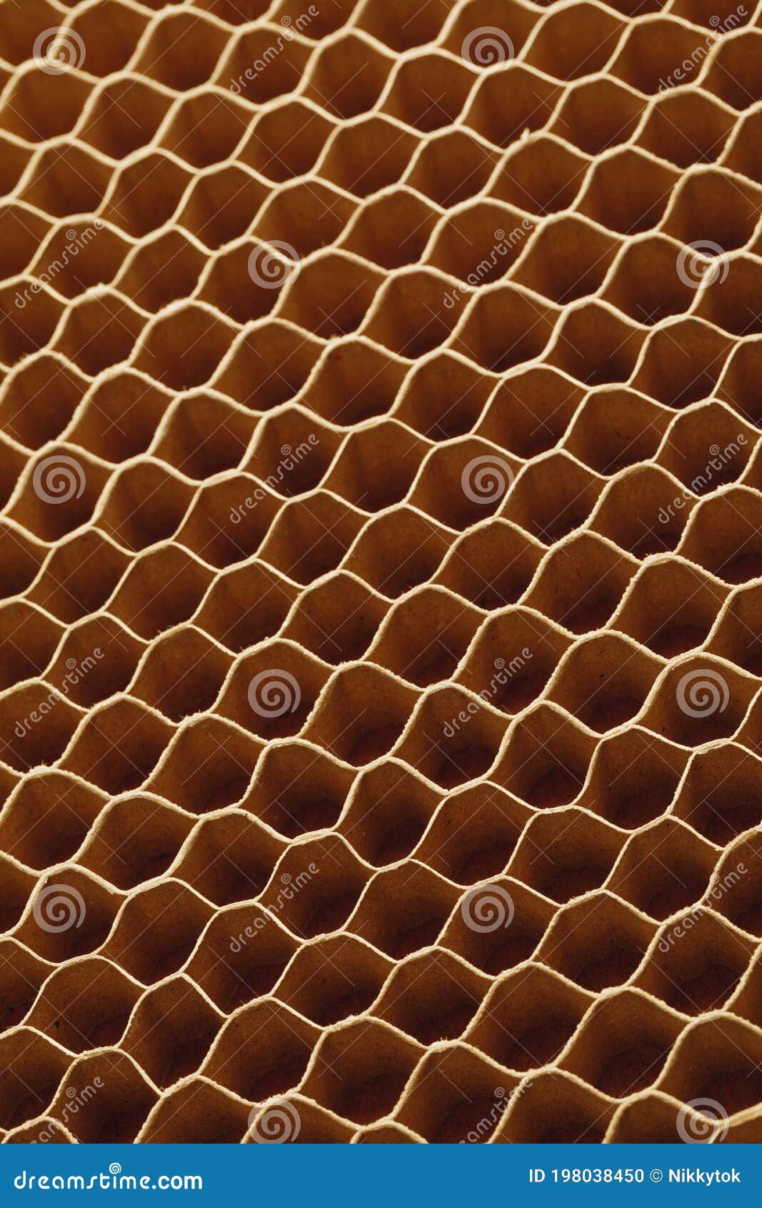 Honeycomb Cells of Cardboard Stiffening Rib Background Stock Photo ...