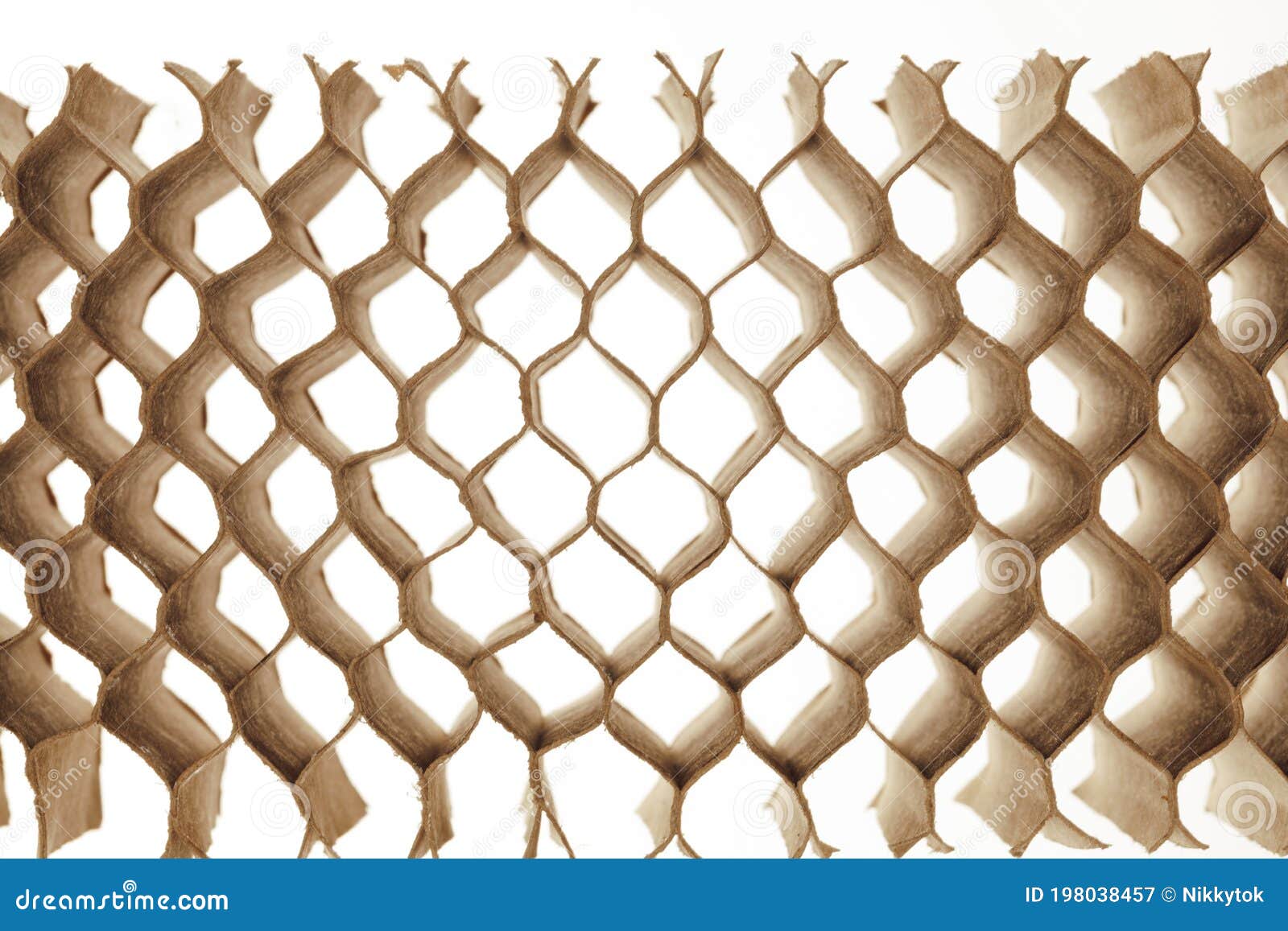 Honeycomb Cells Of Cardboard Stiffening Rib Background Stock Photo ...