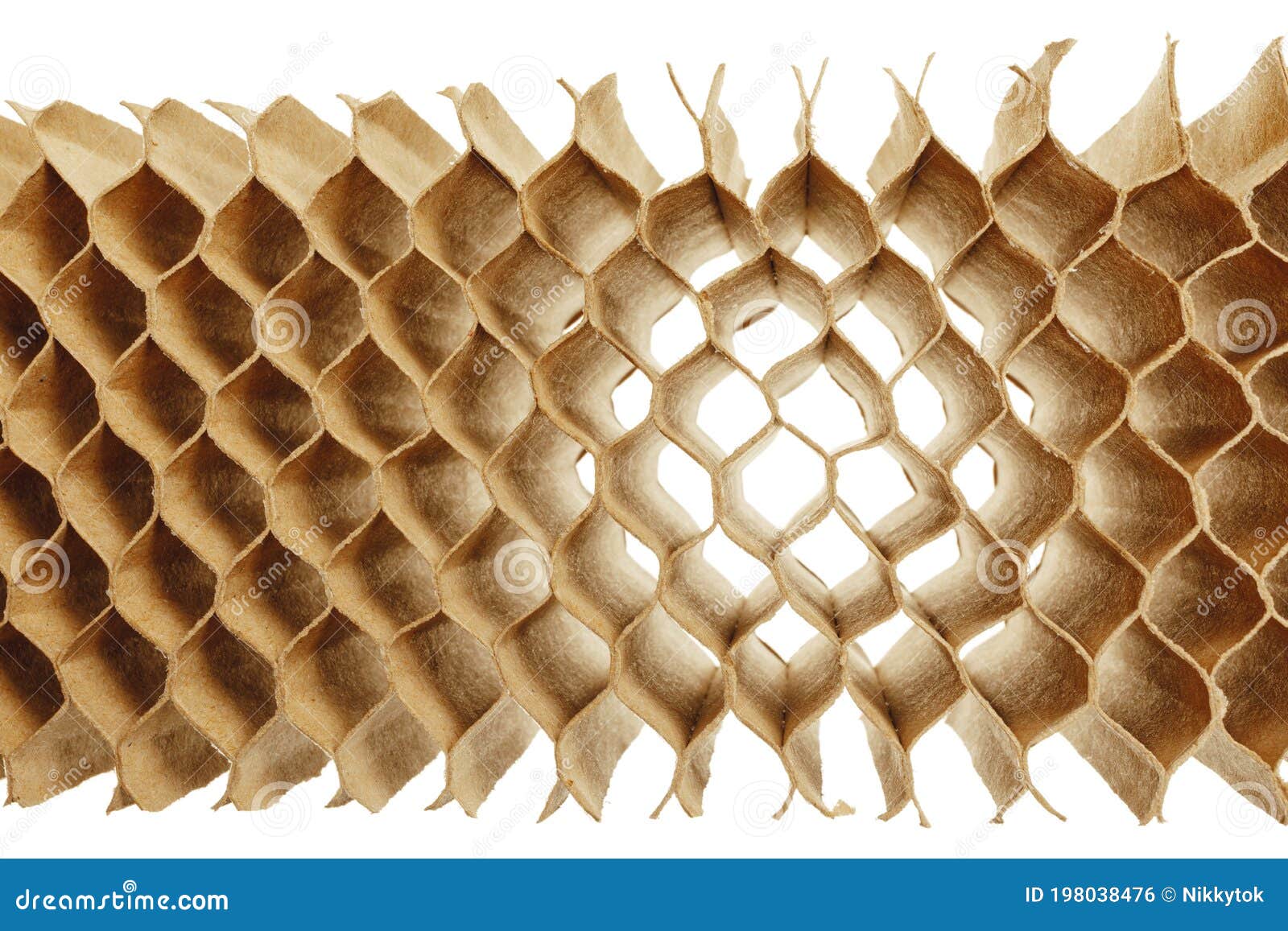Honeycomb Cells Of Cardboard Stiffening Rib Background Royalty-Free ...