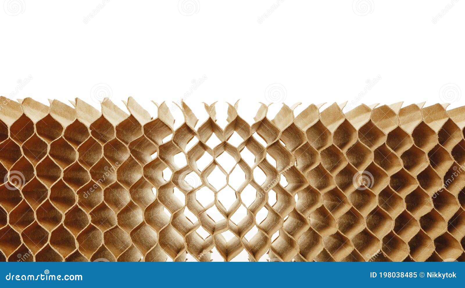 Honeycomb Cells of Cardboard Stiffening Rib Background Stock Image ...