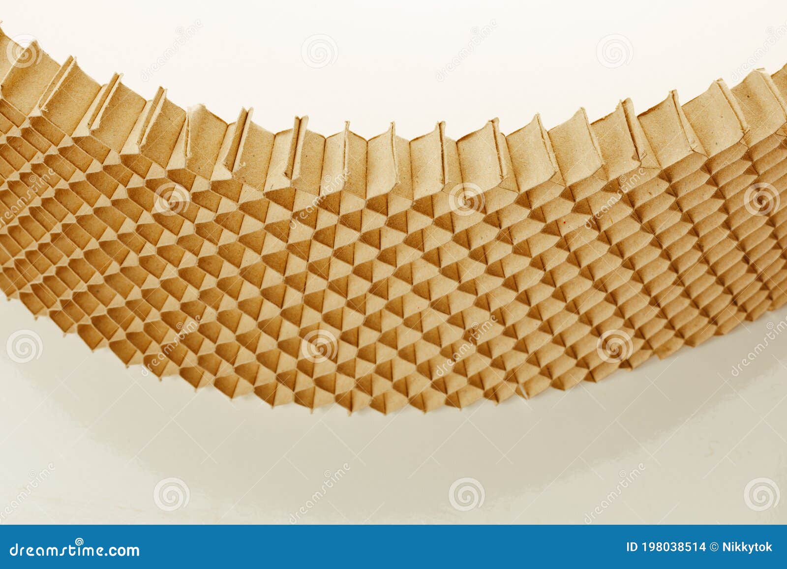 Honeycomb Cells of Cardboard Stiffening Rib Background Stock Photo ...